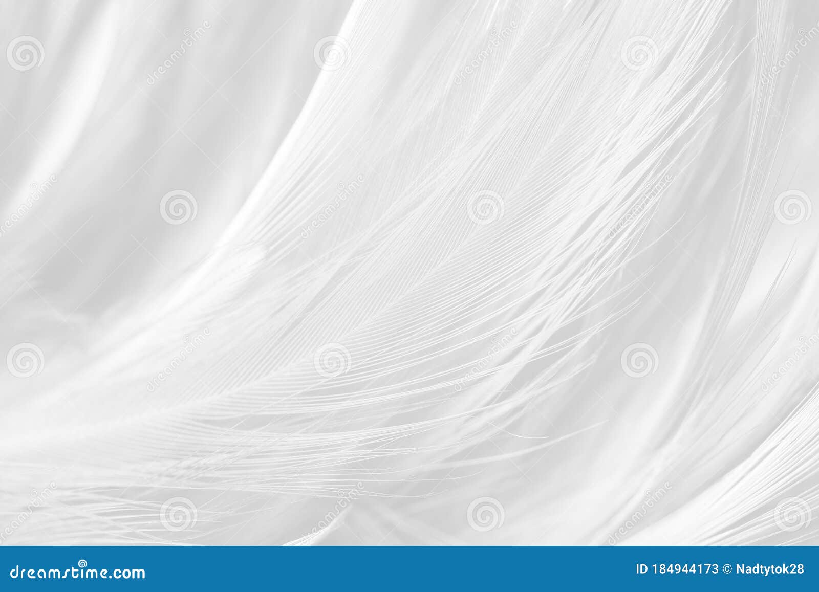 Beautiful Line White Feather Wool Pattern Texture Background Stock ...