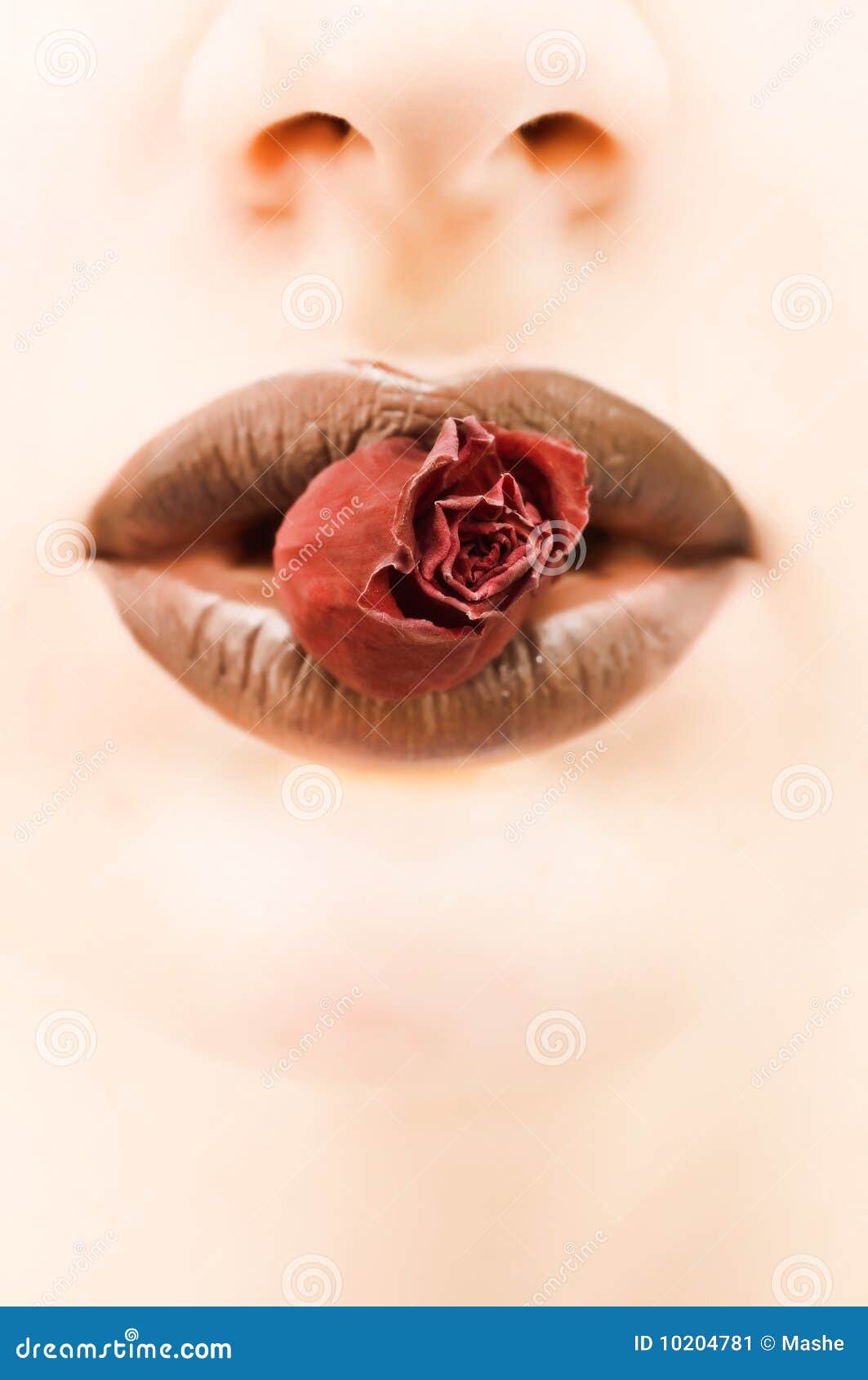 Beautiful lips stock image. Image of lipstick, fashion - 10204781