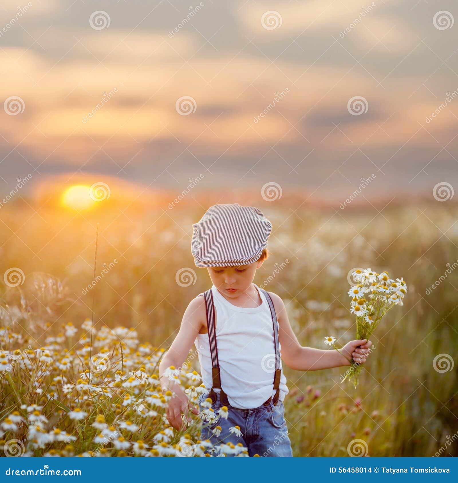 Beautiful Little Boy in Daisy Field on Sunset Stock Photo - Image of ...