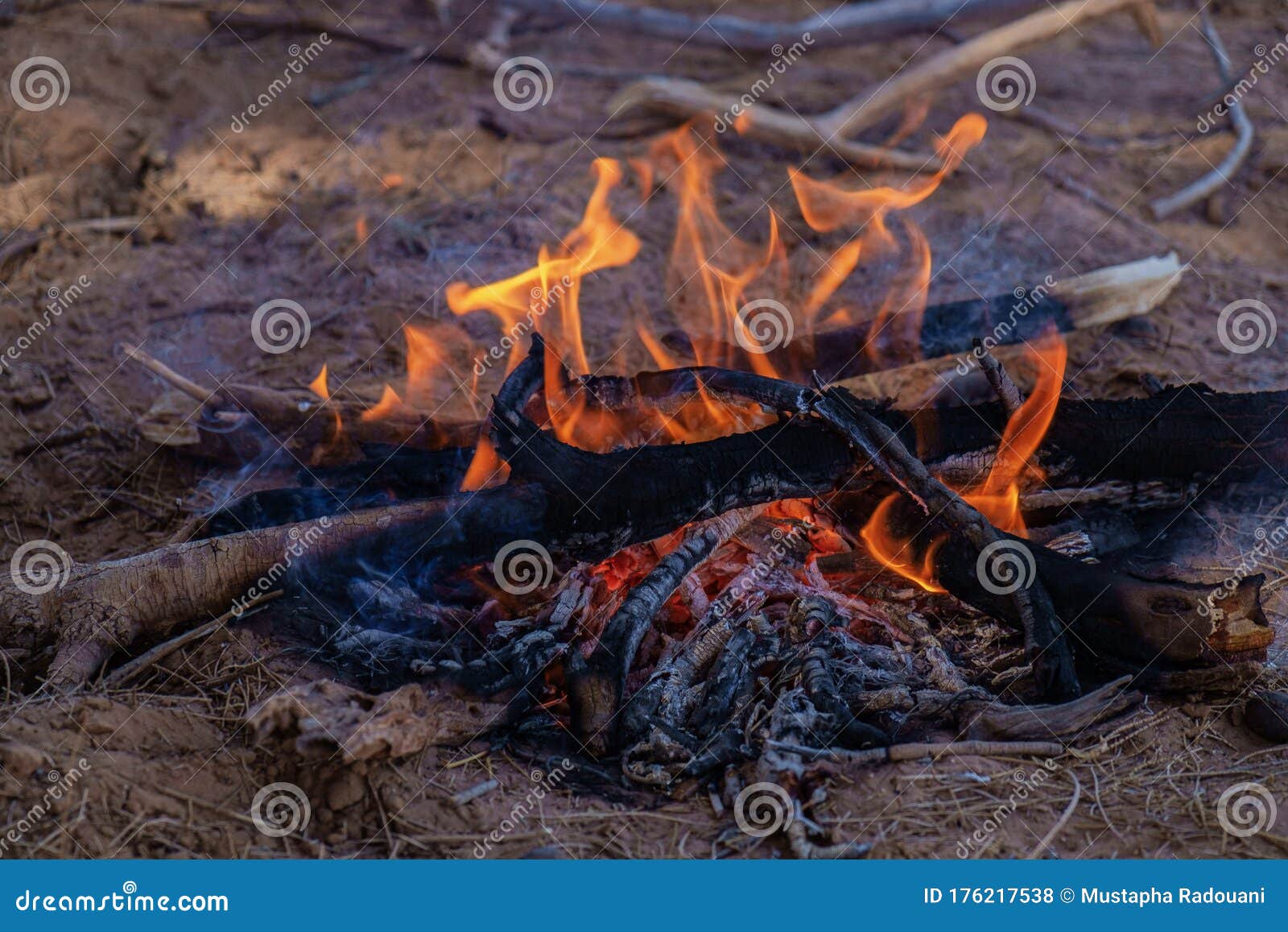 Beautiful little fire stock photo. Image of fire, sahara - 176217538