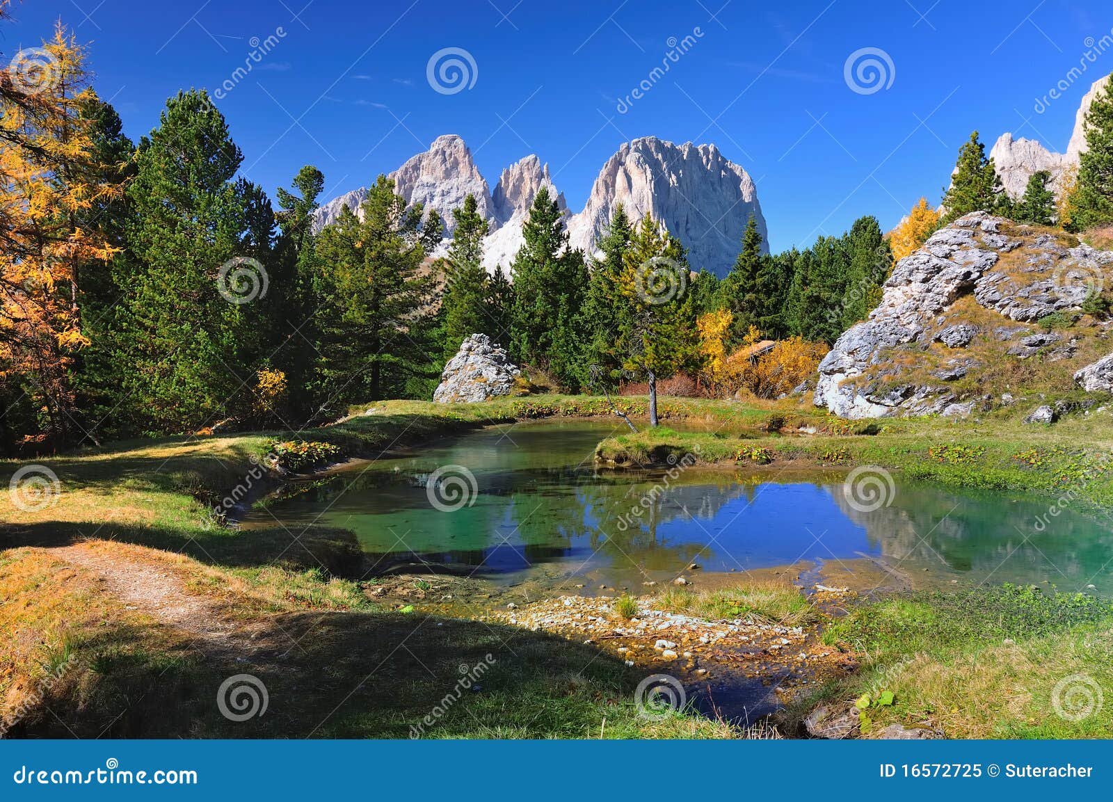 Beautiful Little Lake in a Forest Stock Image - Image of dolomites ...