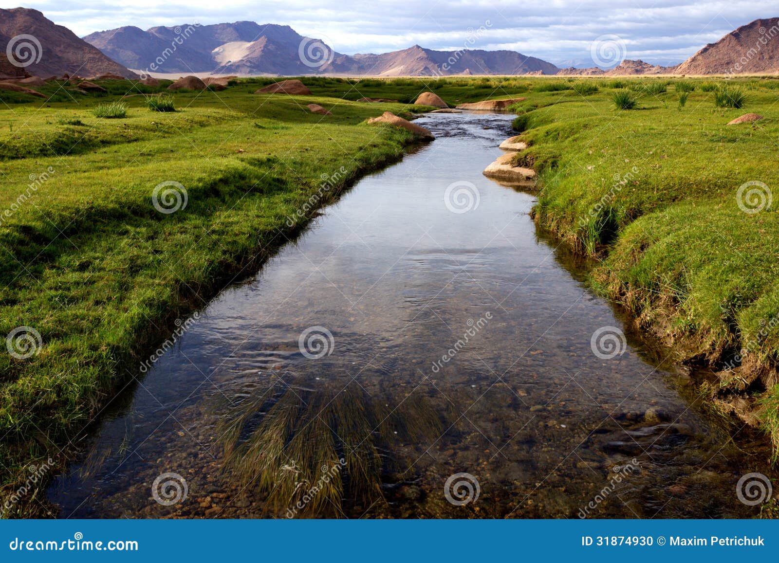 Beautiful little stream stock photo. Image of flow, nature - 31874930