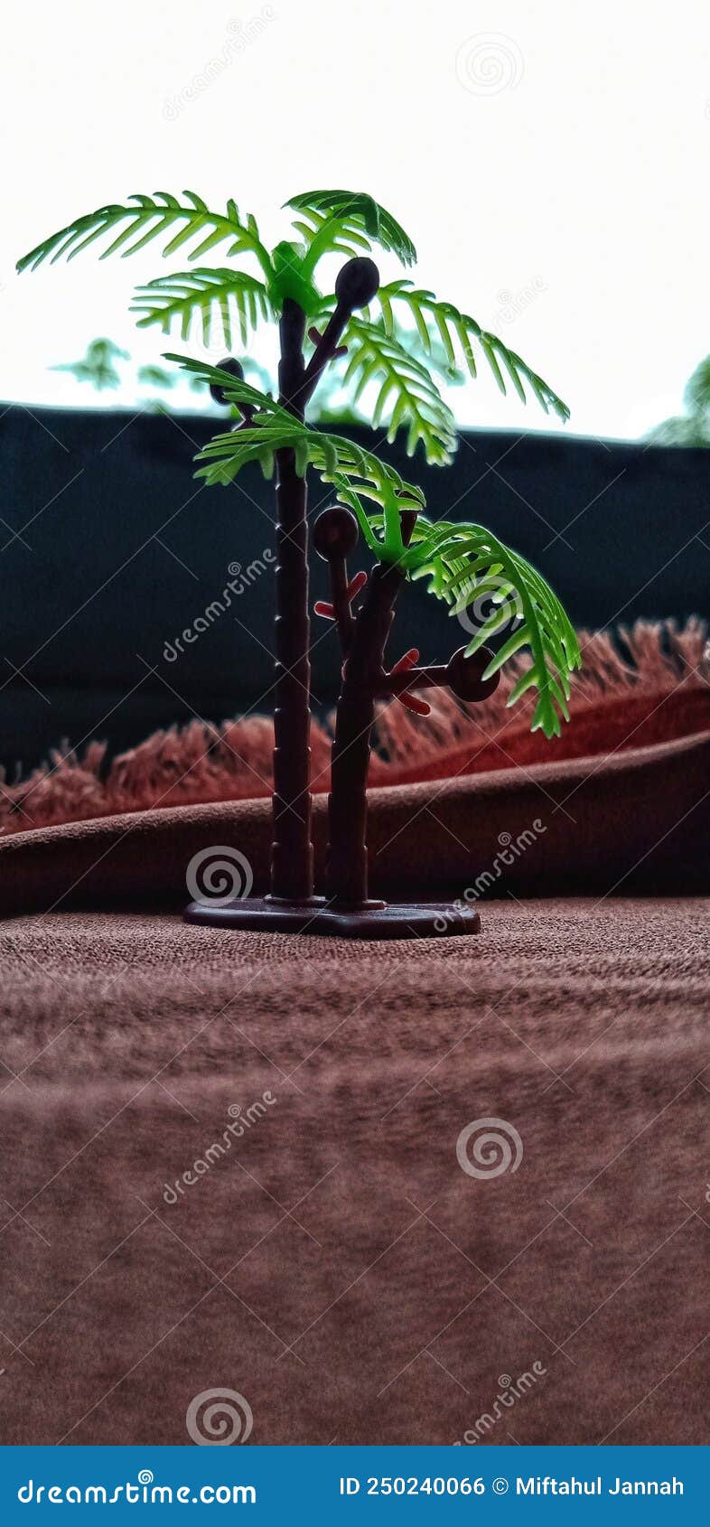 Beautiful Little Tree in a Dream Small Stock Photo - Image of small ...