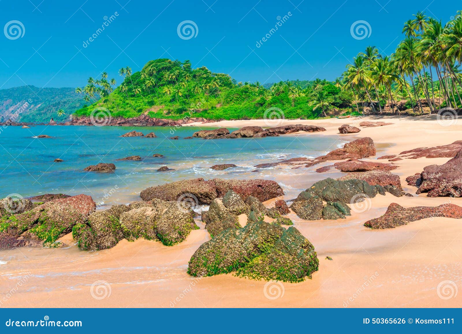 Beautiful Location Near the Equator Stock Photo - Image of coconut ...