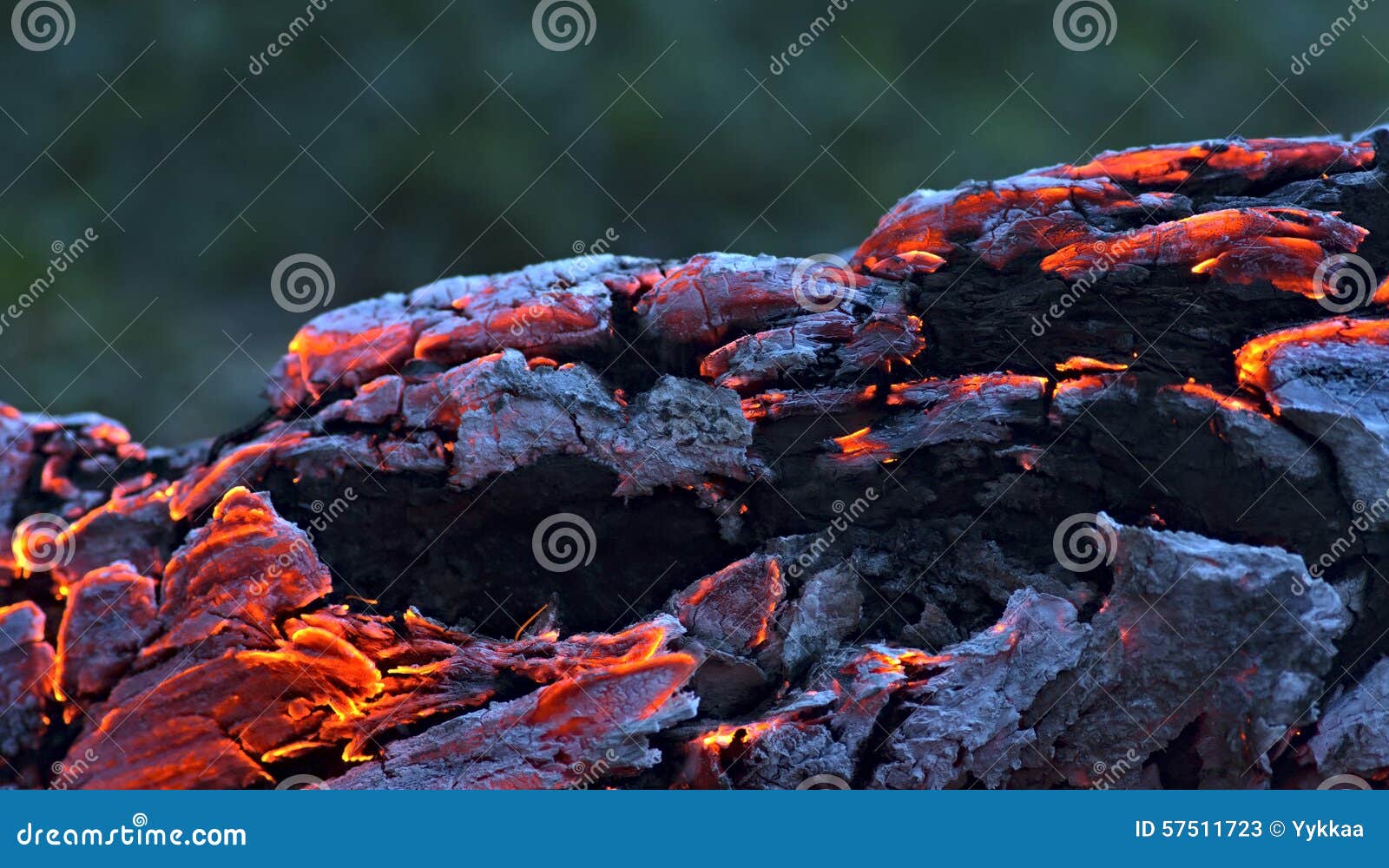 Beautiful Log Smoldering in the Fire Stock Image - Image of summer ...