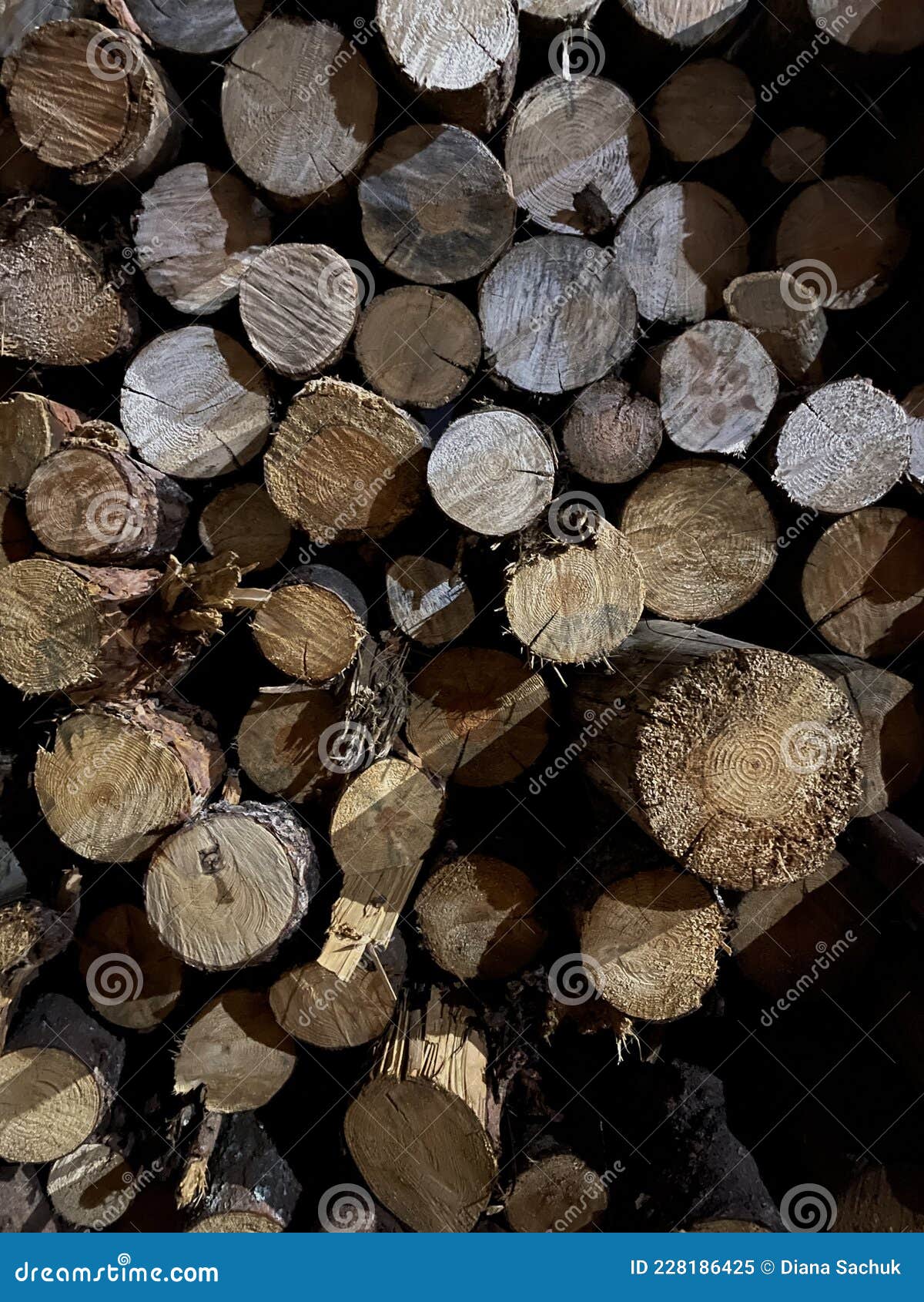 Beautiful logs. stock image. Image of light, logs, nature - 228186425