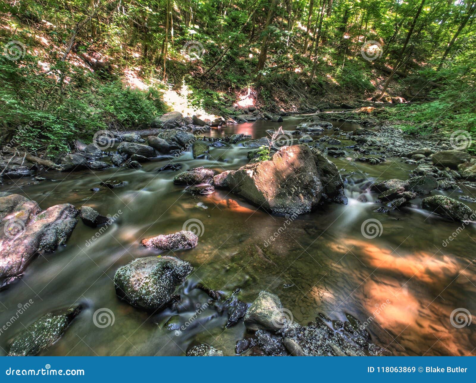 A beautiful forest stream stock image. Image of long - 118063869