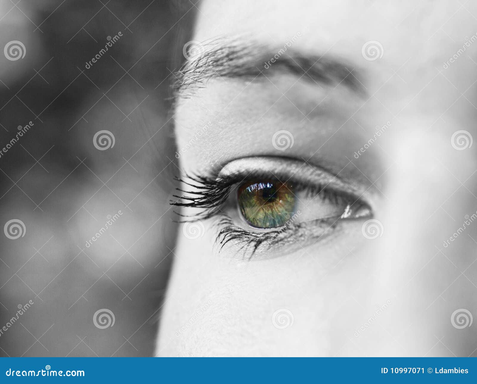 Beautiful look stock image. Image of glamour, human, look - 10997071