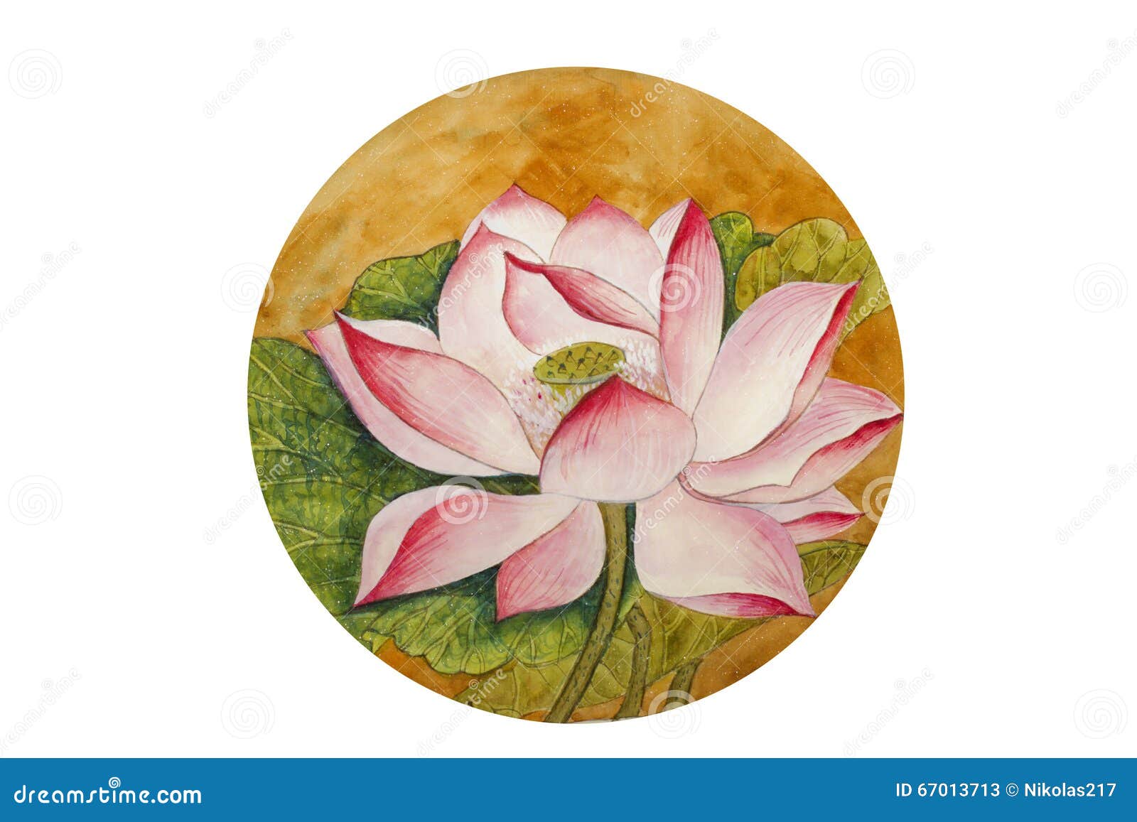 Beautiful lotus flower stock illustration. Image of drawn - 67013713