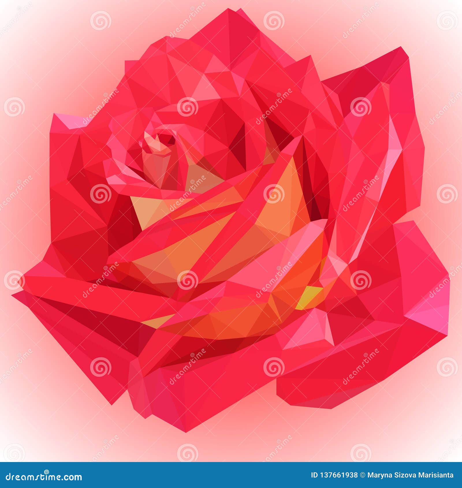 Beautiful low poly rose stock vector. Illustration of fresh - 137661938