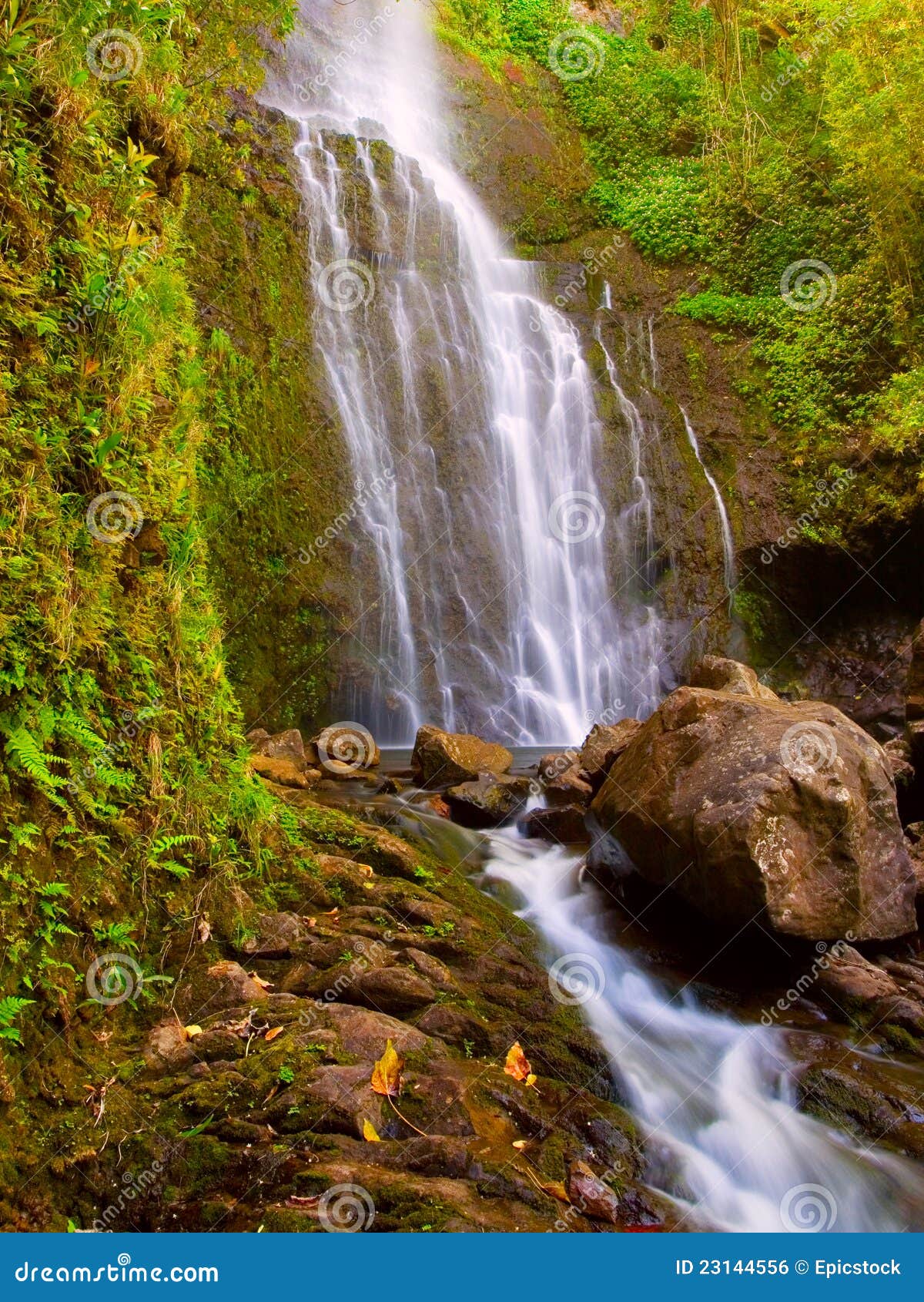 Beautiful Lush Waterfall stock photo. Image of nature - 23144556