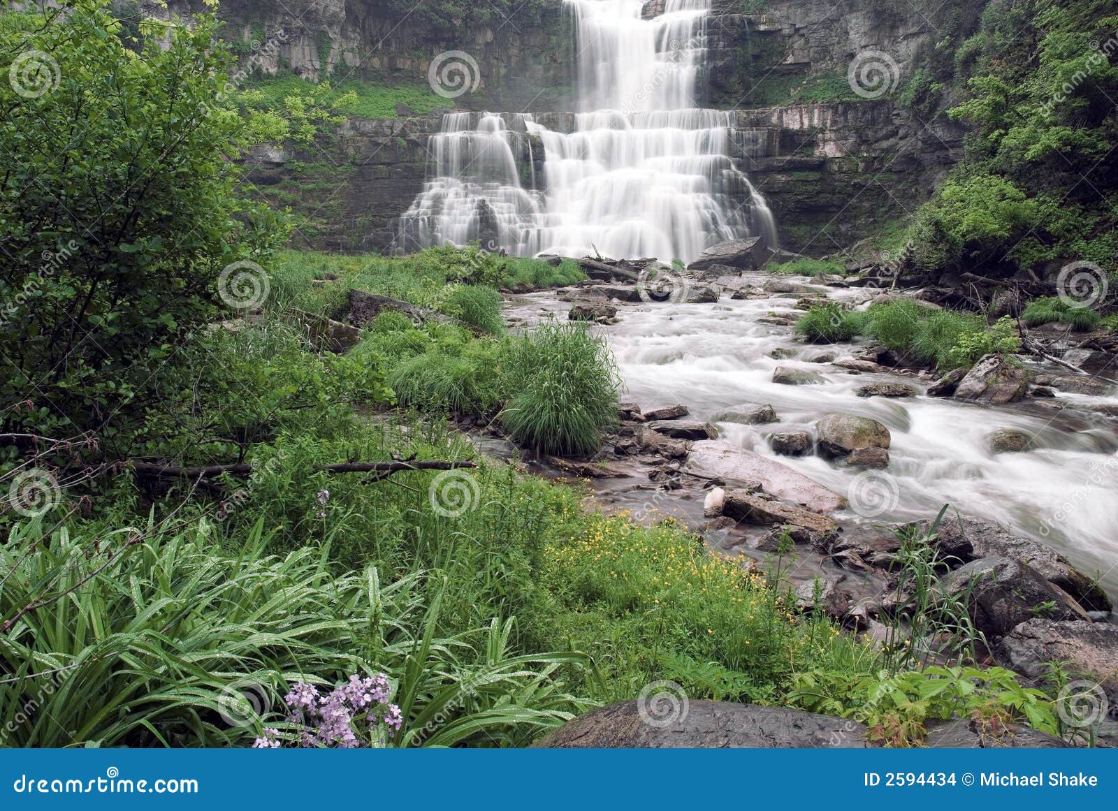 Beautiful Lush Waterfall stock photo. Image of river, chittenango - 2594434