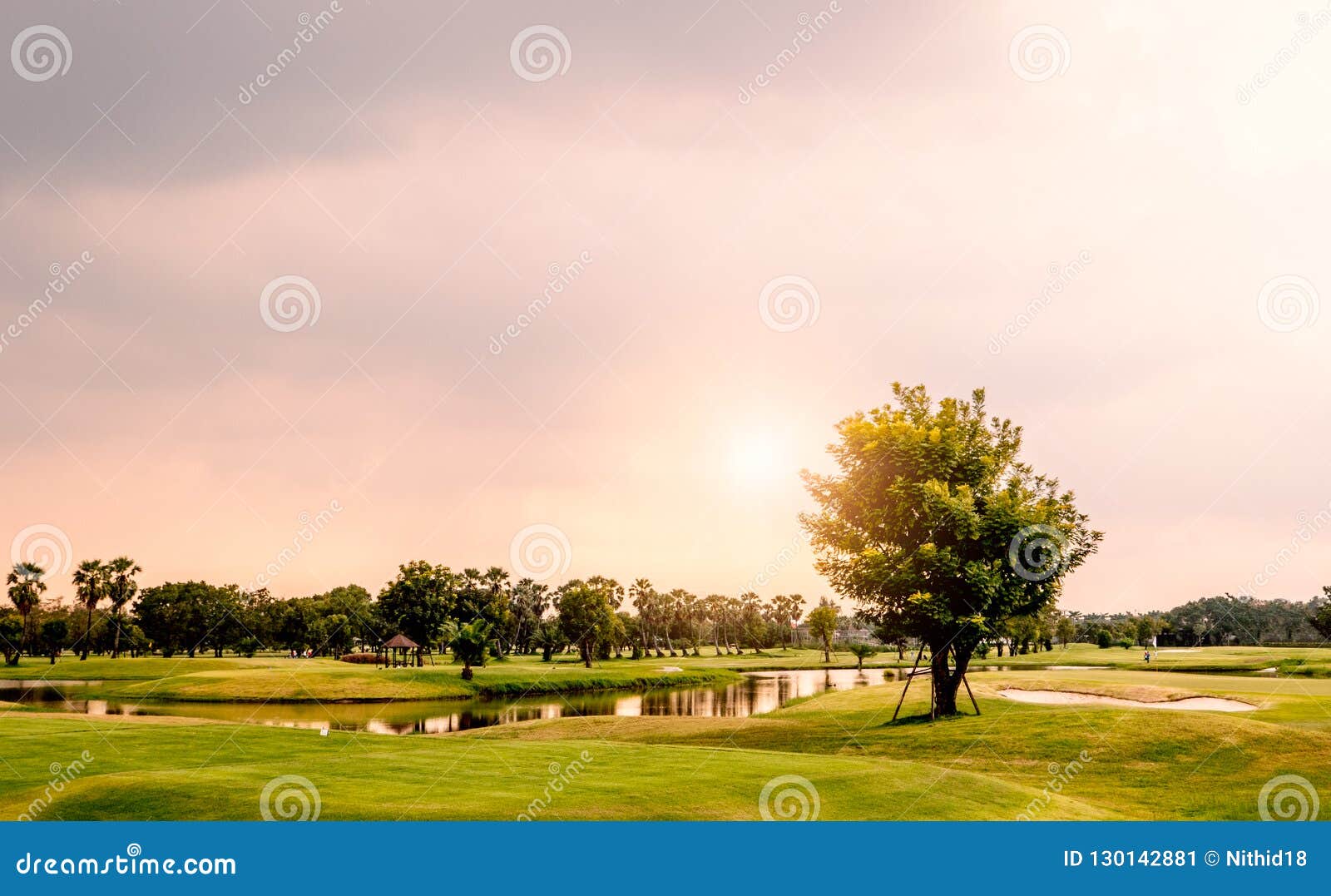Beautiful Luxury Golf Course in the Morning Stock Image - Image of ...