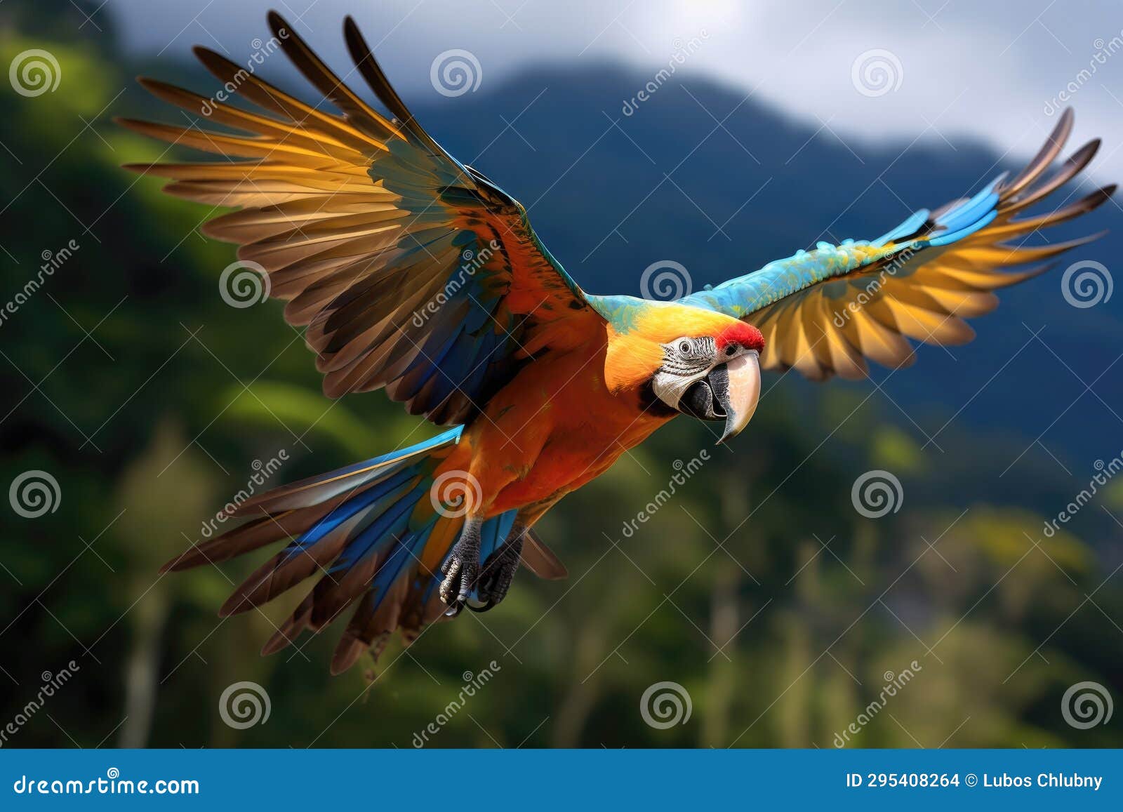 Beautiful Macaw Flying, Ara Arakanga Stock Illustration - Illustration ...