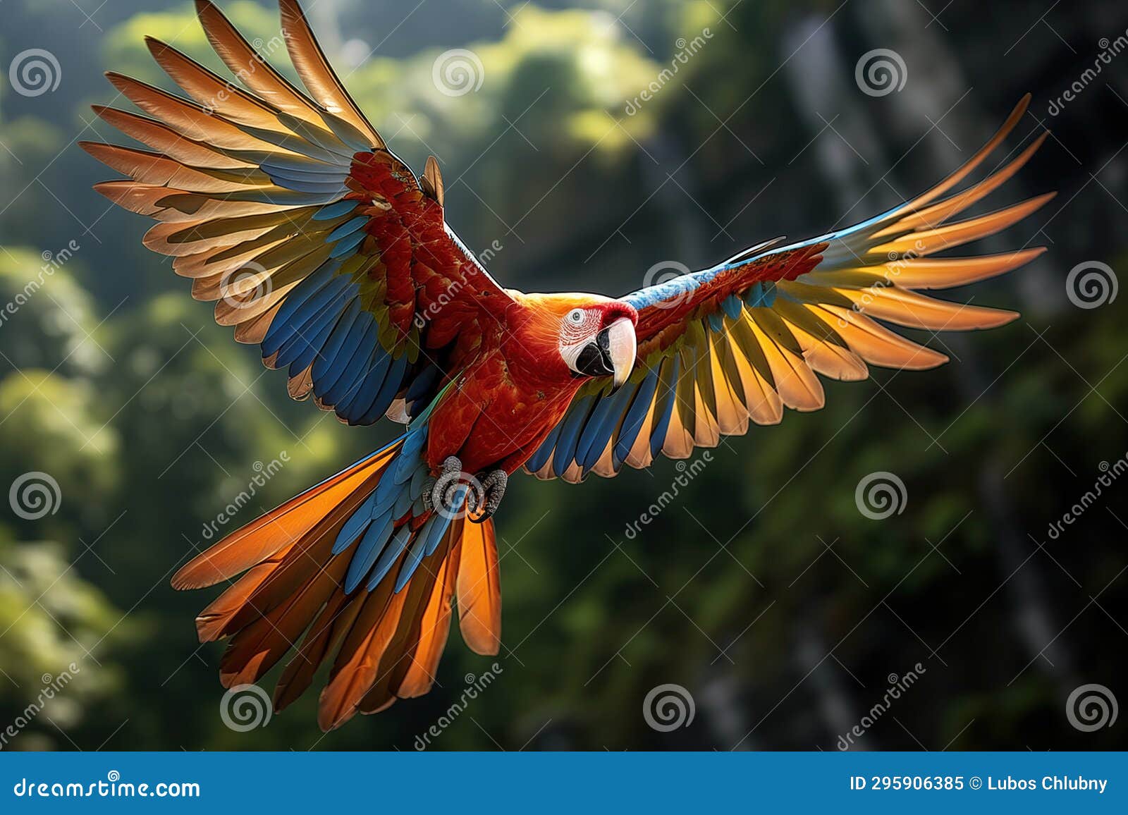 Beautiful Macaw Flying, Ara Arakanga Stock Illustration - Illustration ...