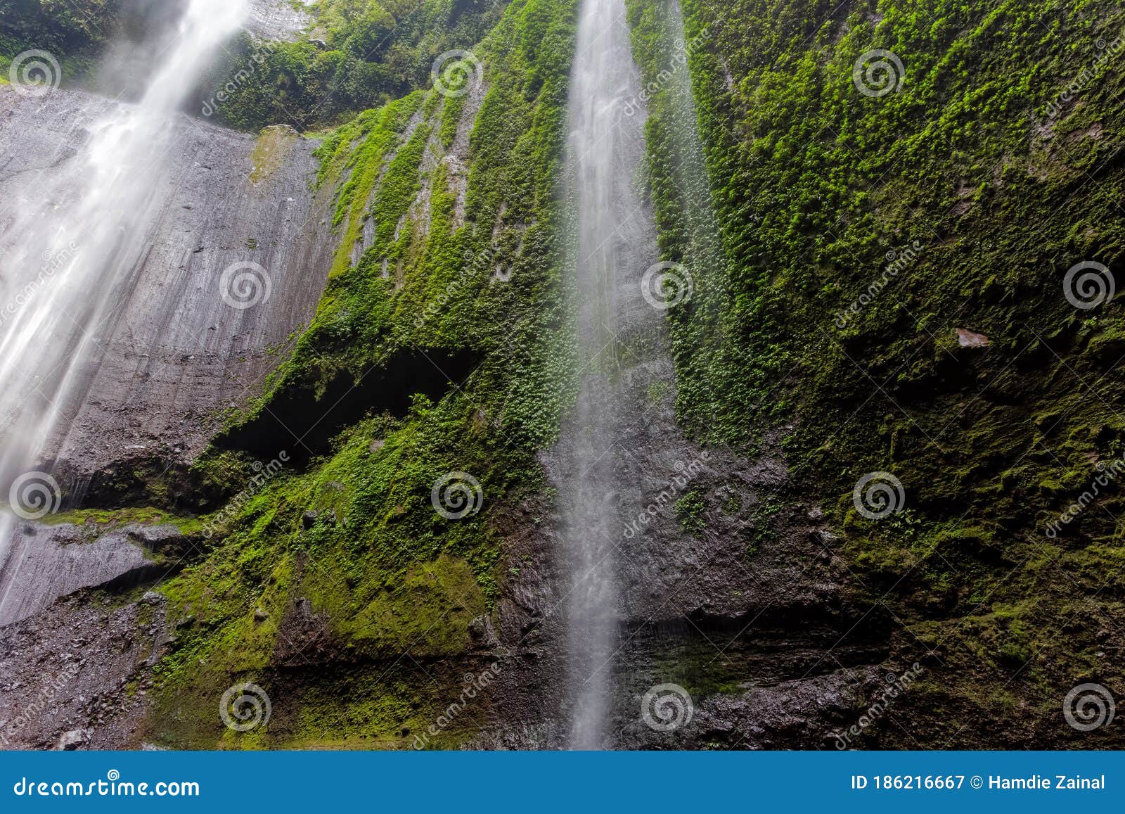 The Beautiful Madakaripura Waterfall in East Java, Indonesia Stock ...