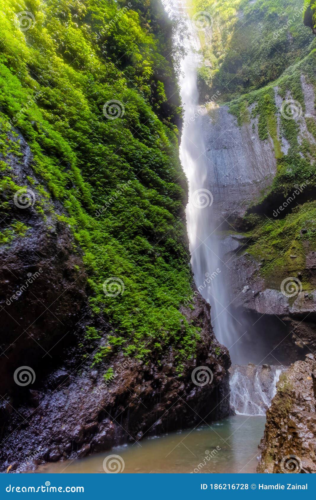 The Beautiful Madakaripura Waterfall in East Java, Indonesia Stock ...