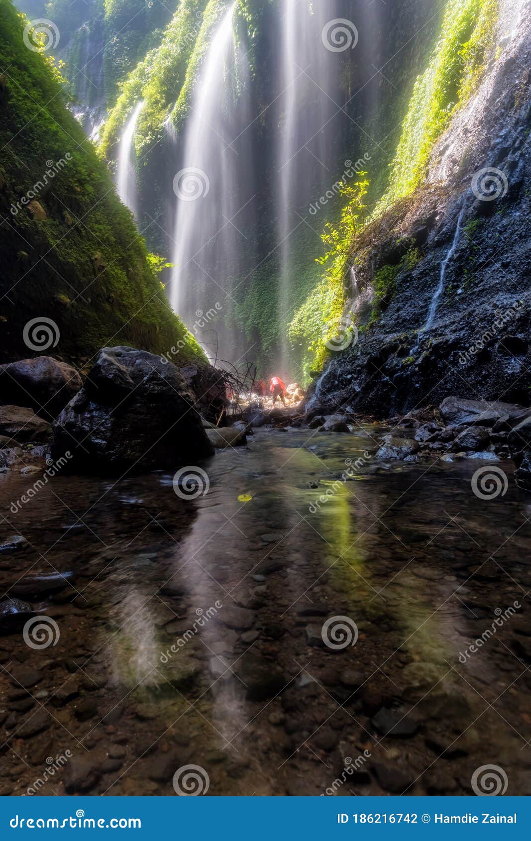 The Beautiful Madakaripura Waterfall in East Java, Indonesia Stock ...