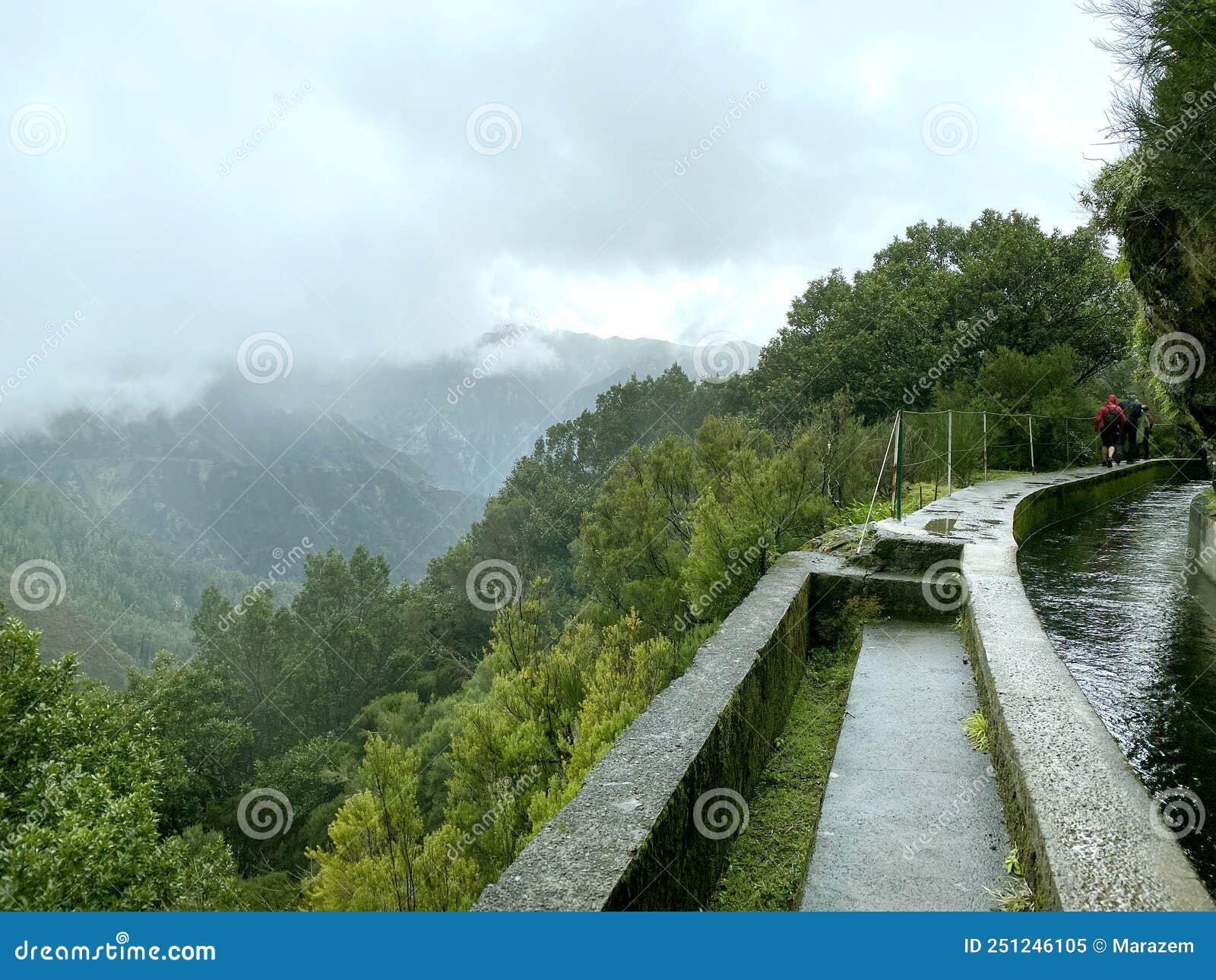 Beautiful Madeira Landscape Stock Image - Image of holidays, hike ...