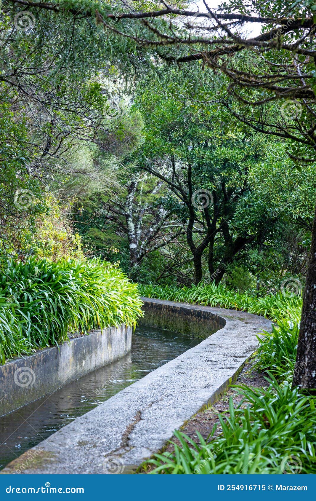 Beautiful Madeira Landscape Stock Image - Image of plants, countryside ...