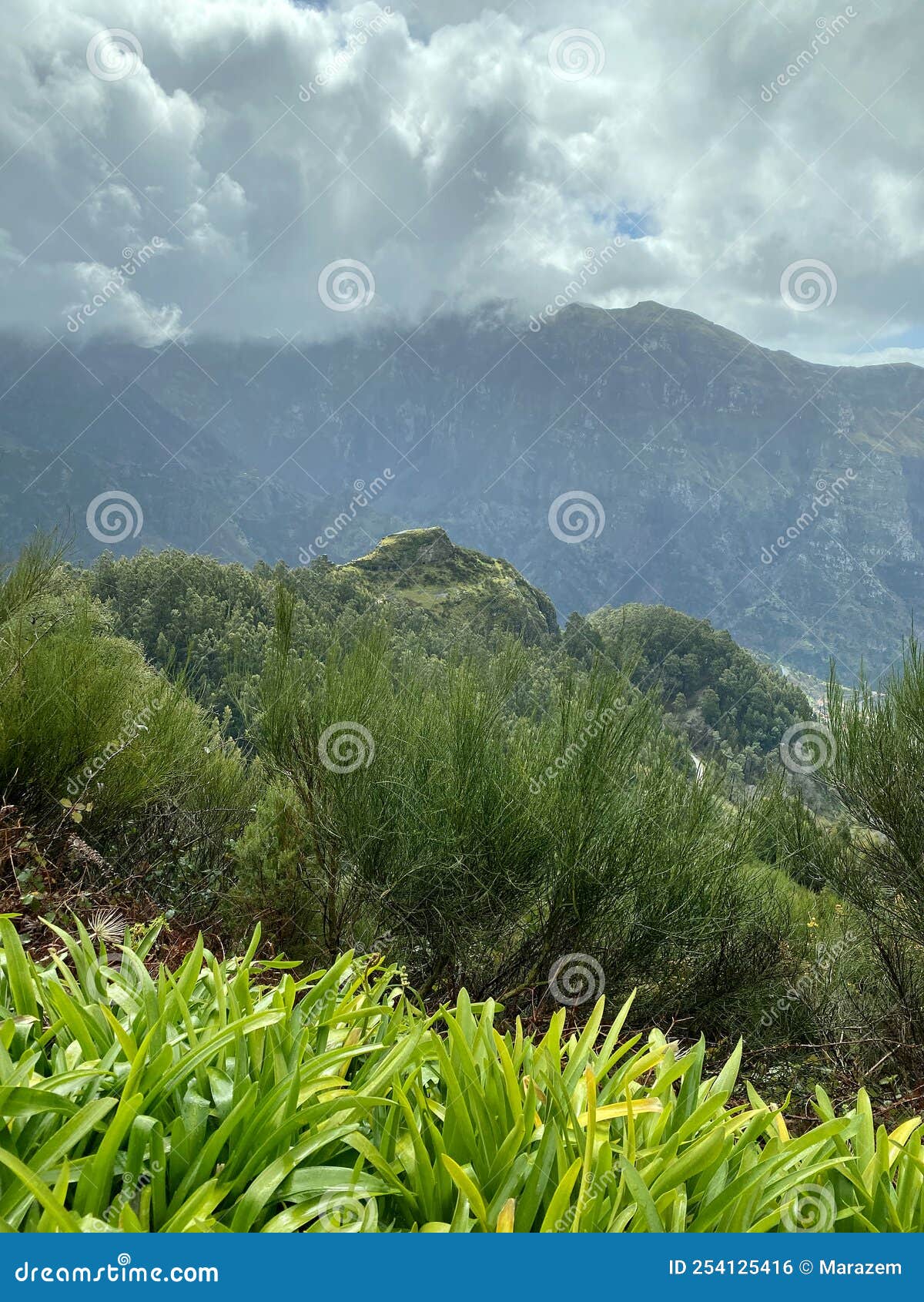 Beautiful Madeira Landscape Stock Photo - Image of landmark, discover ...