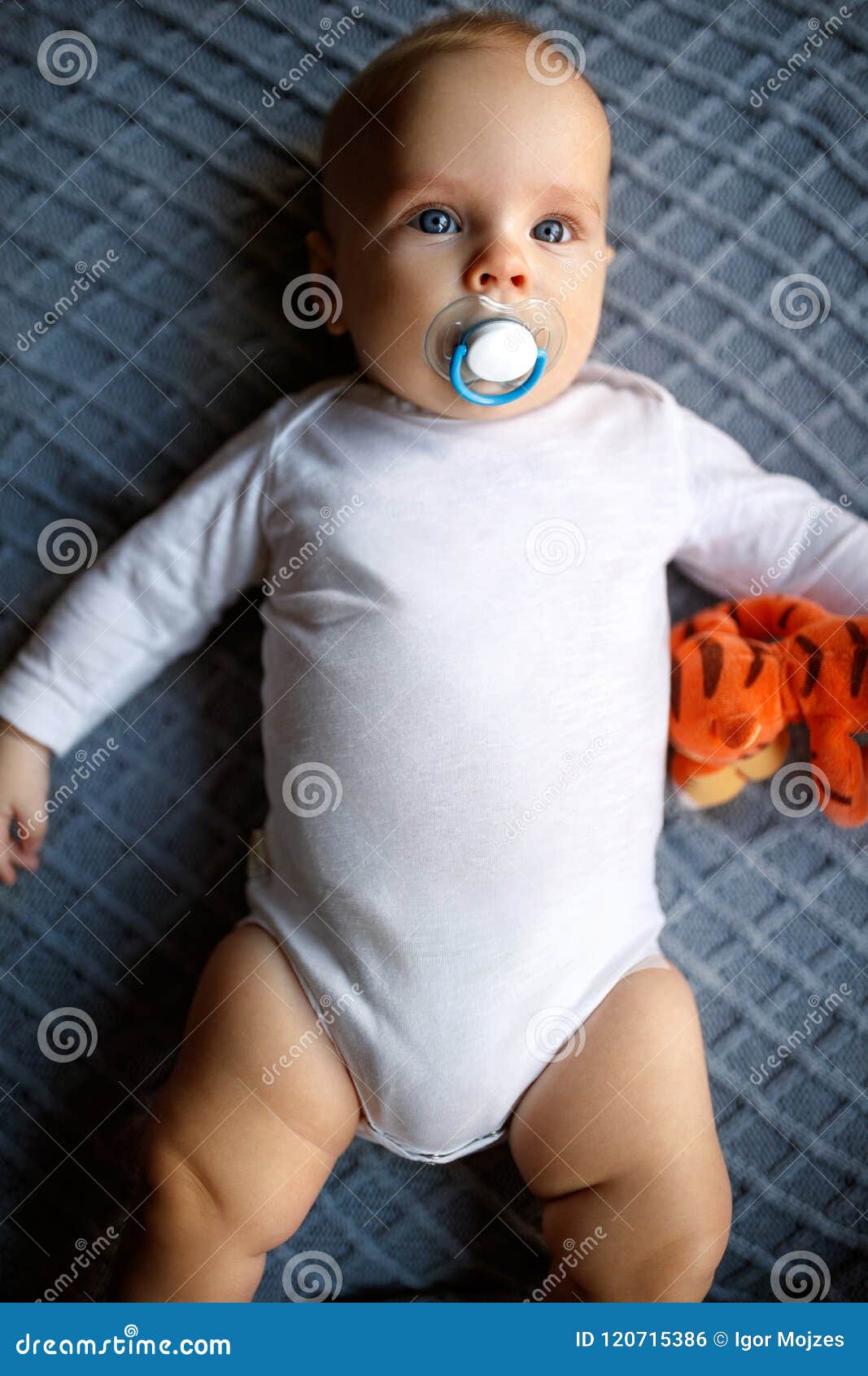 Beautiful male baby stock photo. Image of healthy, adorable - 120715386