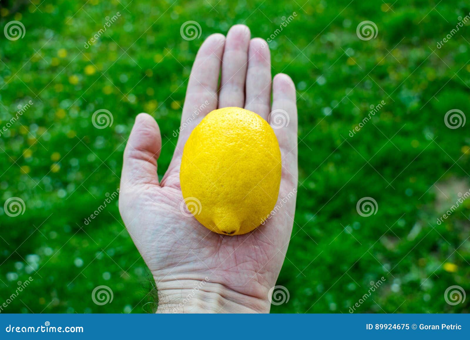 Beautiful Man Holding a Lemon Stock Image - Image of summer, freshness ...