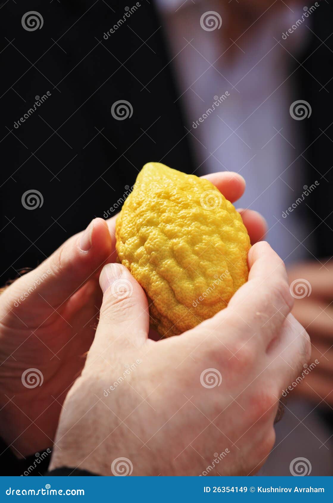 Beautiful Man S Hands Hold a Citrus Stock Image - Image of fruit ...