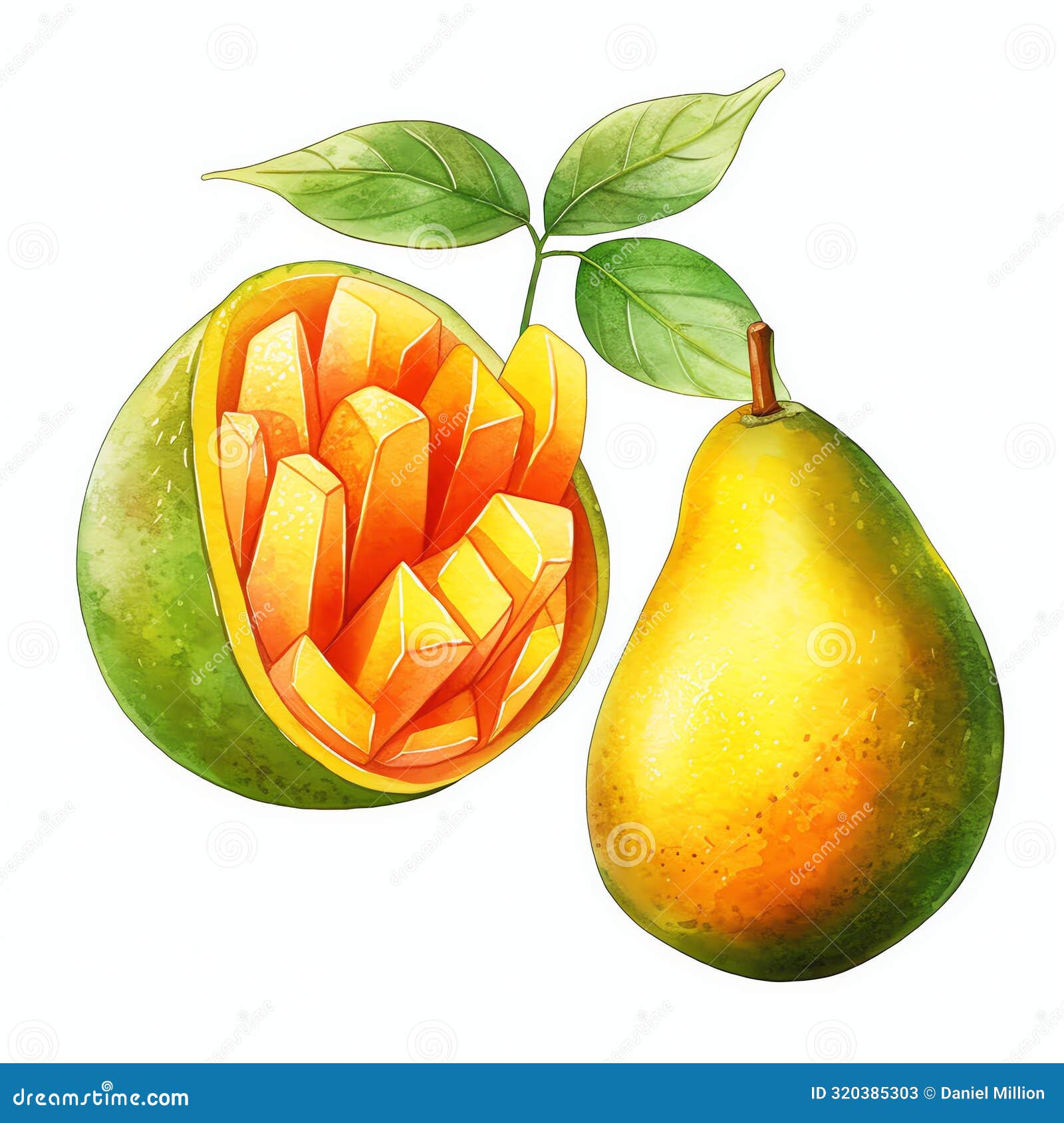 Beautiful Mango Watercolor Clipart Illustration Stock Illustration ...