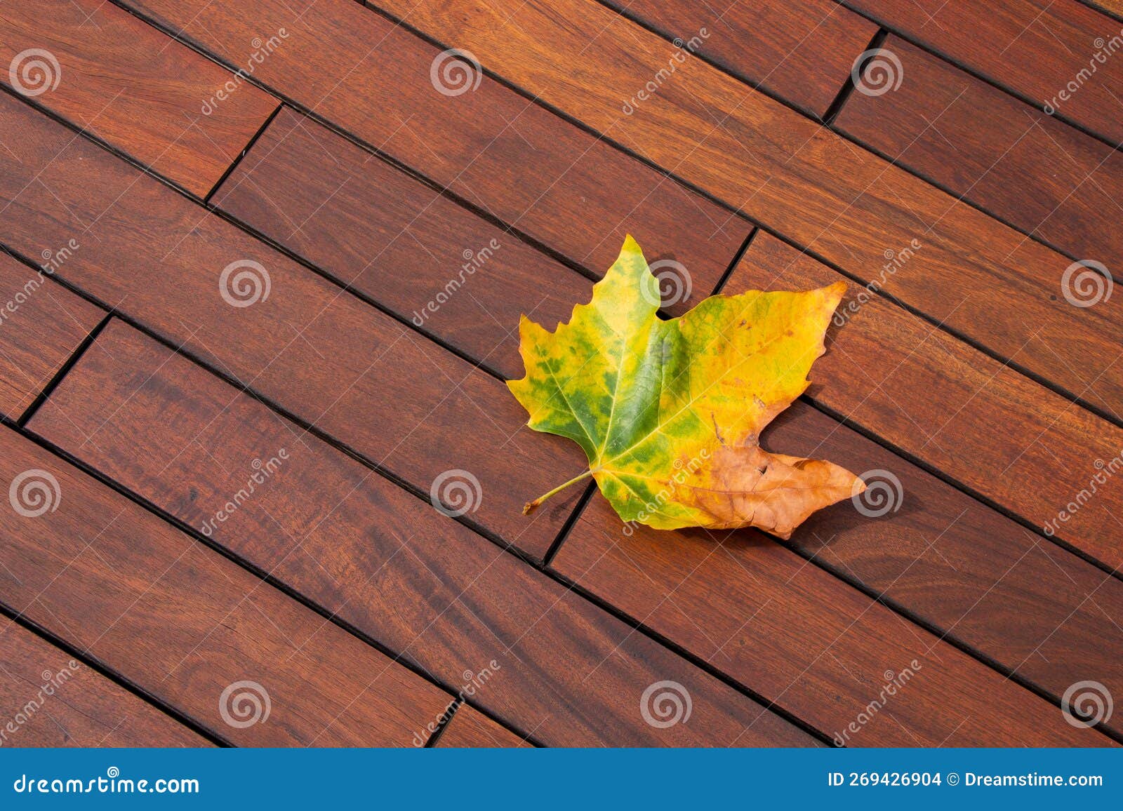 Beautiful Maple Leaf on Ipe Wood Boards, Hardwood Deck Texture ...