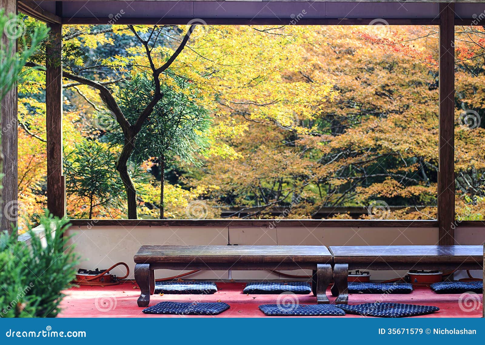 Beautiful maple season stock image. Image of temple, tree - 35671579