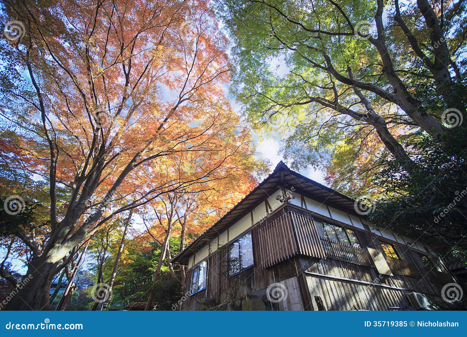 Beautiful maple season stock image. Image of religion - 35719385