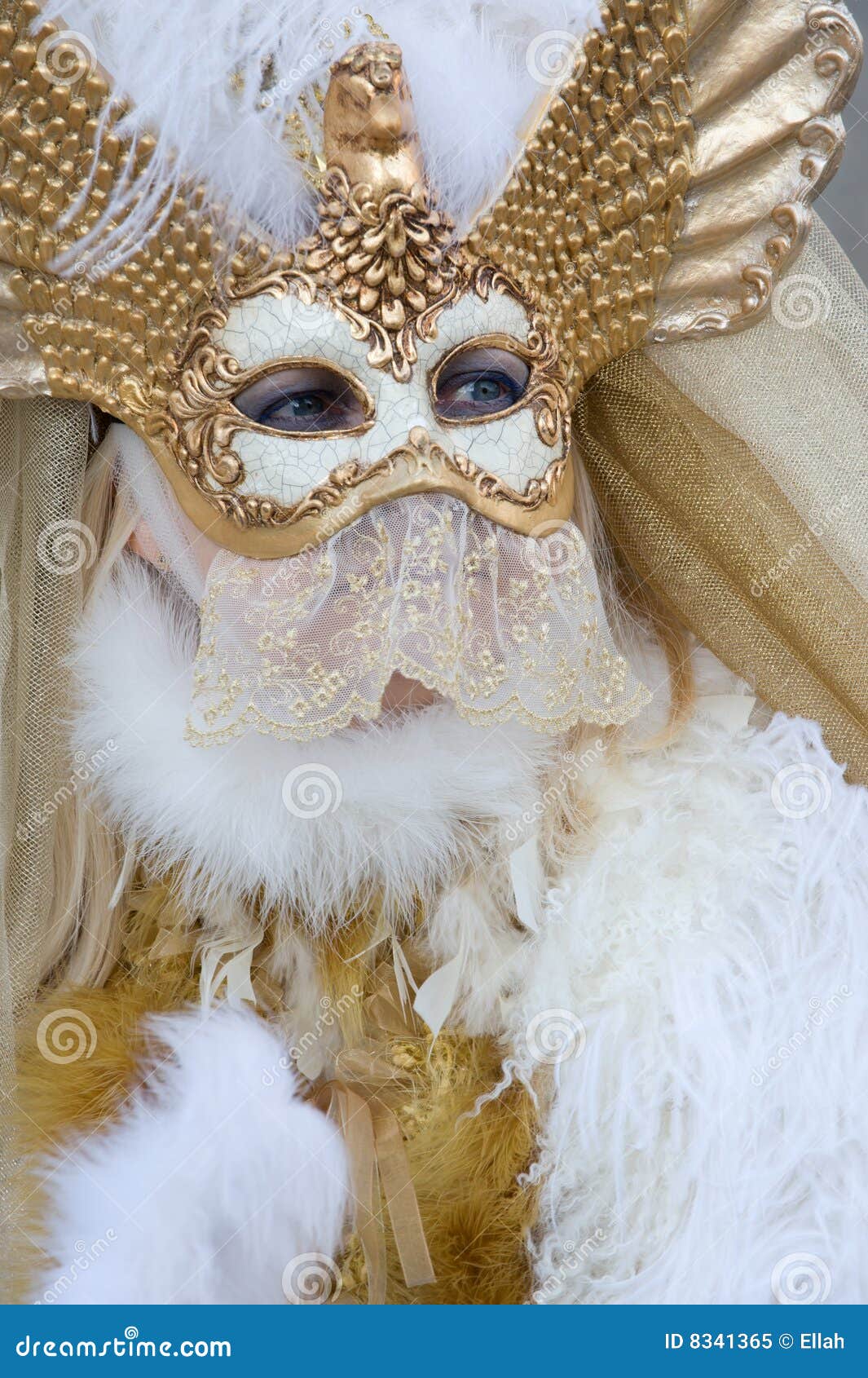 Beautiful mask stock image. Image of gras, ball, halloween - 8341365