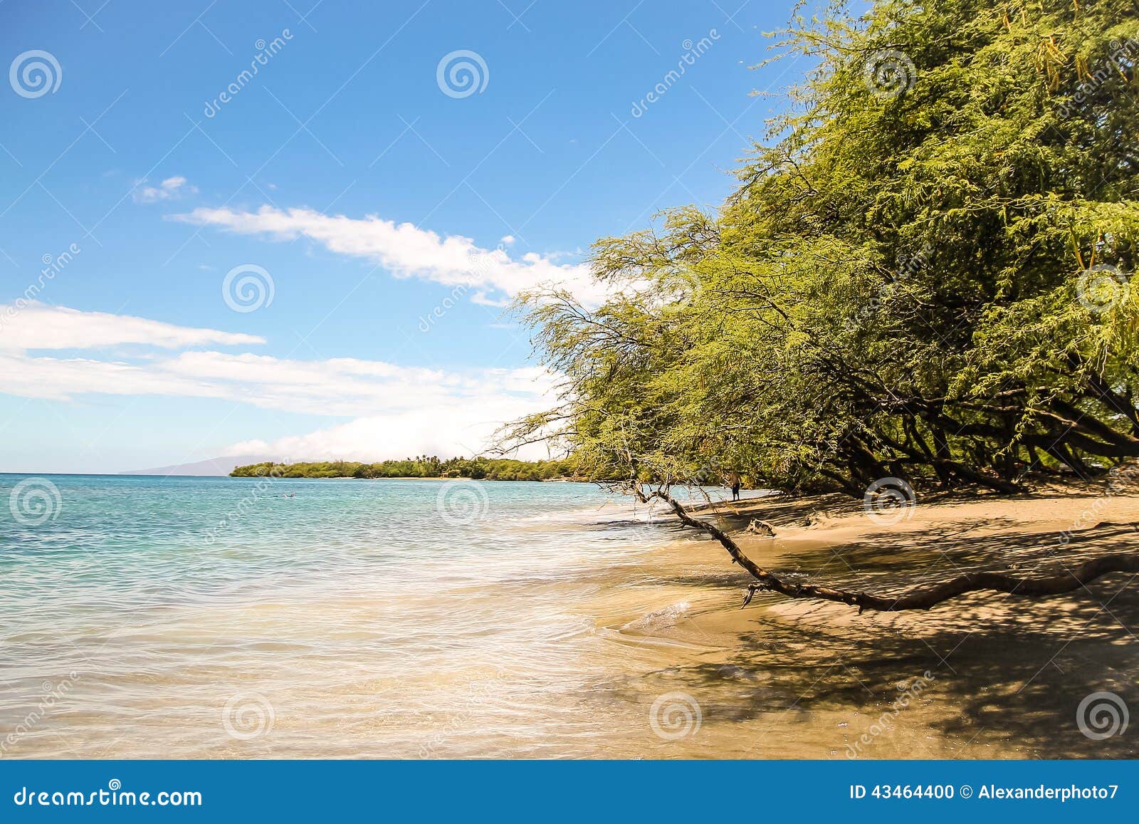 Beautiful Maui beach stock photo. Image of nature, blue - 43464400
