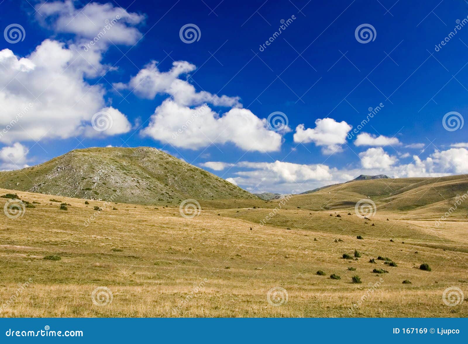 A beautiful meadow stock image. Image of cloud, high, grass - 167169