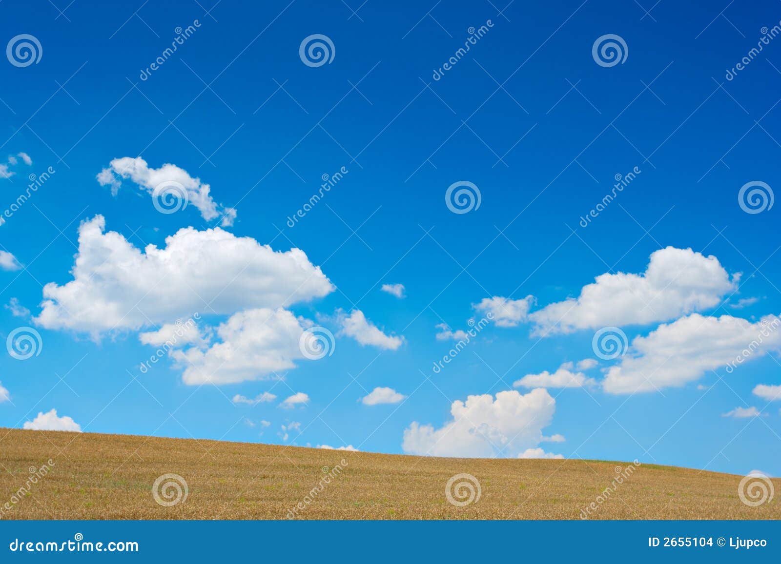 Beautiful meadow stock photo. Image of growth, farmland - 2655104