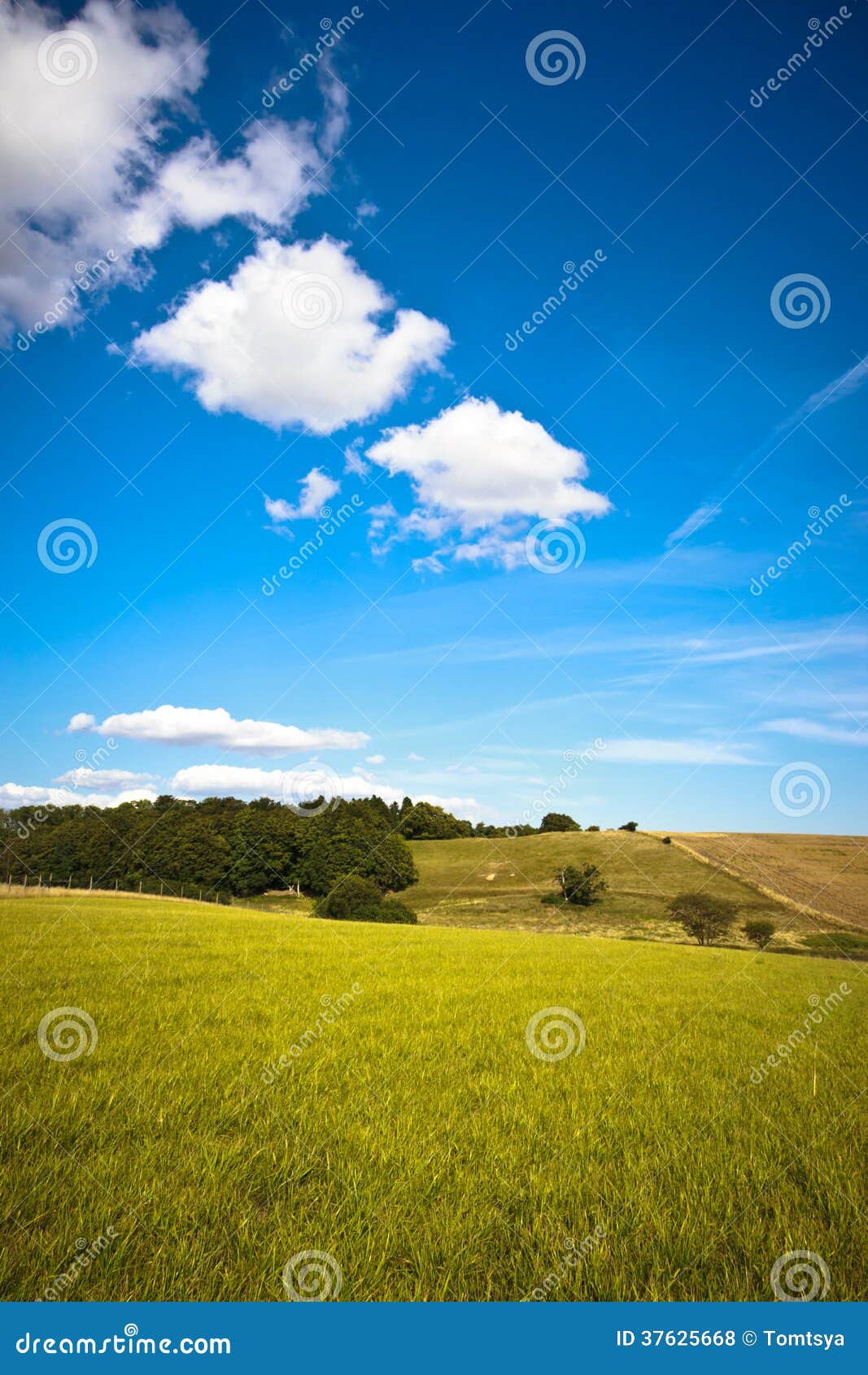 Beautiful meadow stock photo. Image of plain, countryside - 37625668