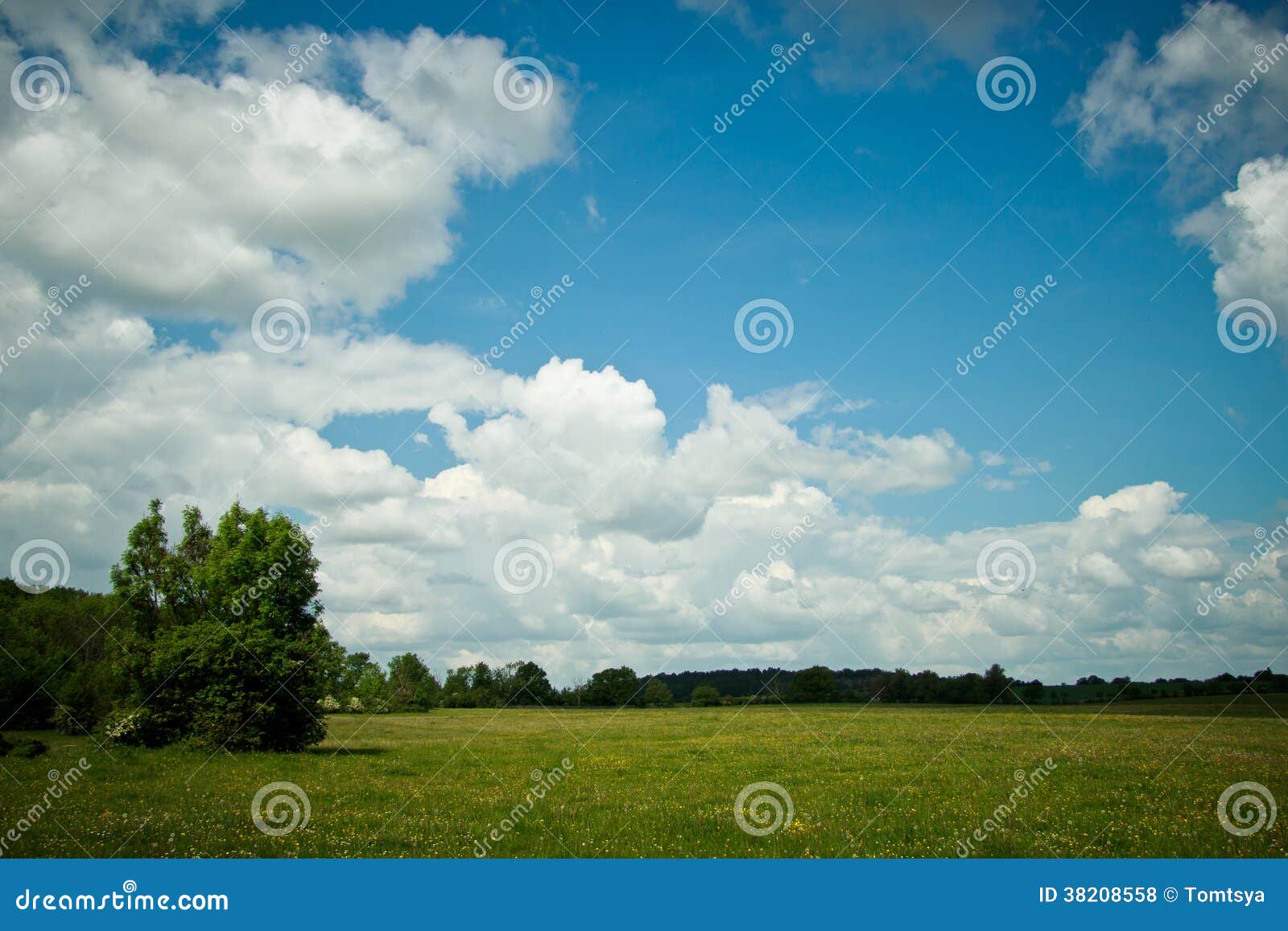 Beautiful meadow stock photo. Image of agricultural, bright - 38208558