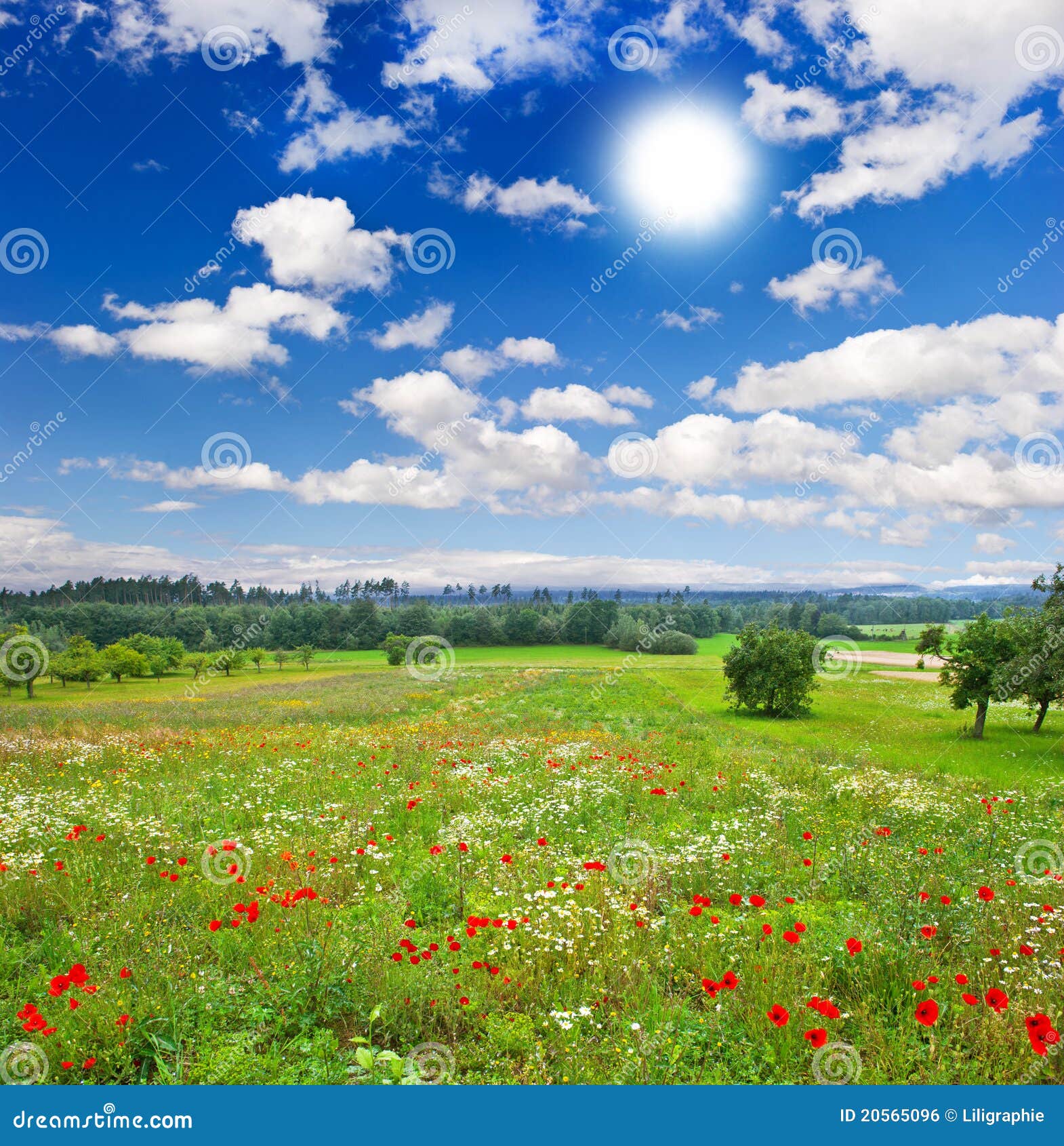 Beautiful Meadow And Snow Mountains Peak View From Khuspang Campsite ...