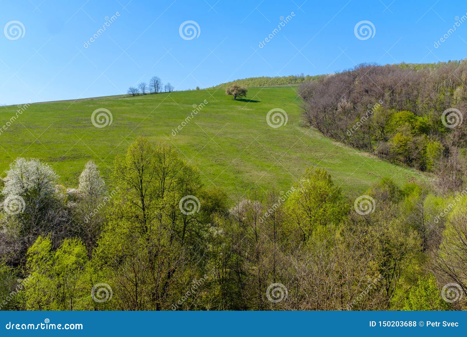 Green meadow on a hill stock photo. Image of meadow - 150203688