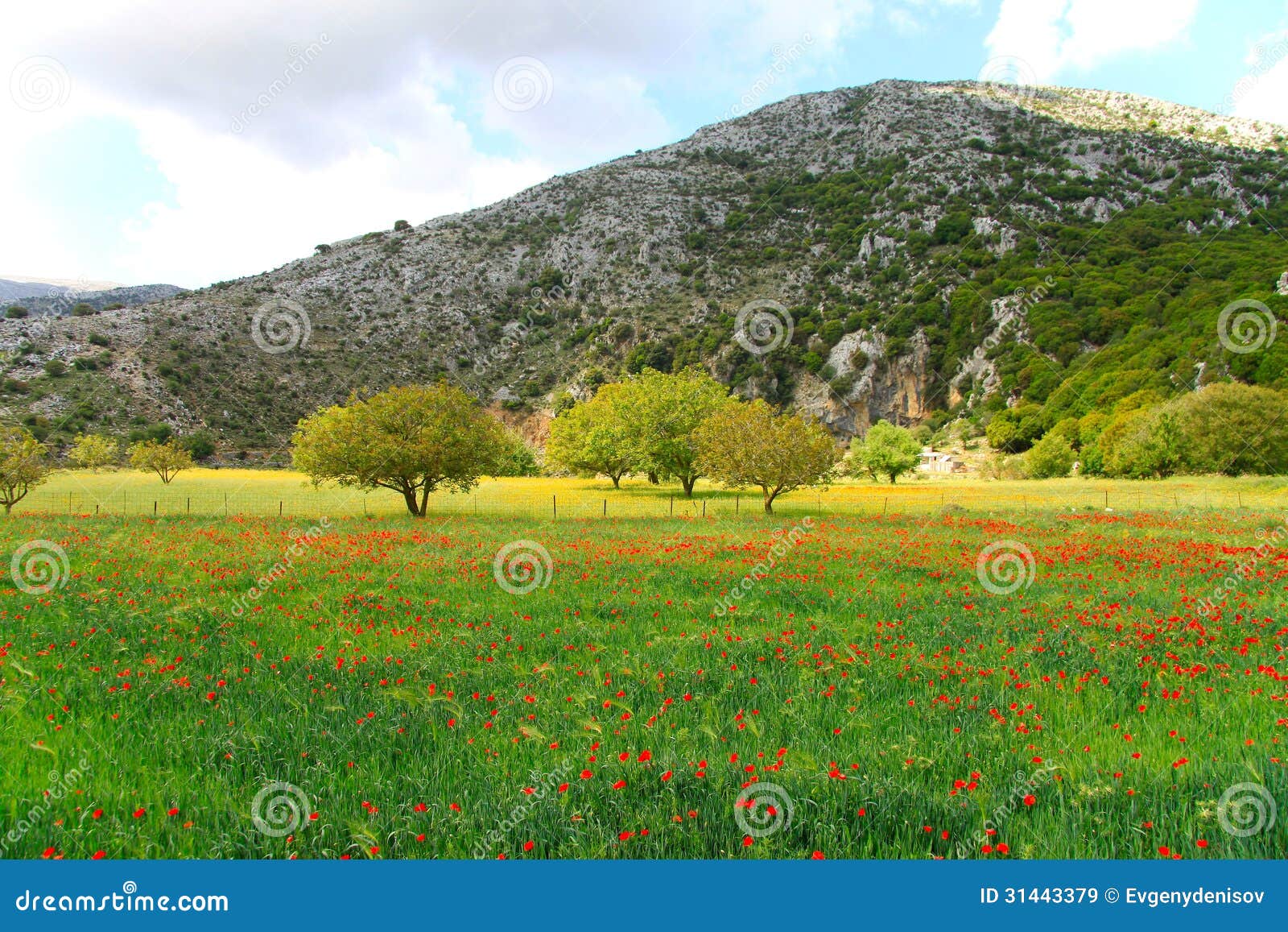 Beautiful meadow stock image. Image of crete, mountain - 31443379