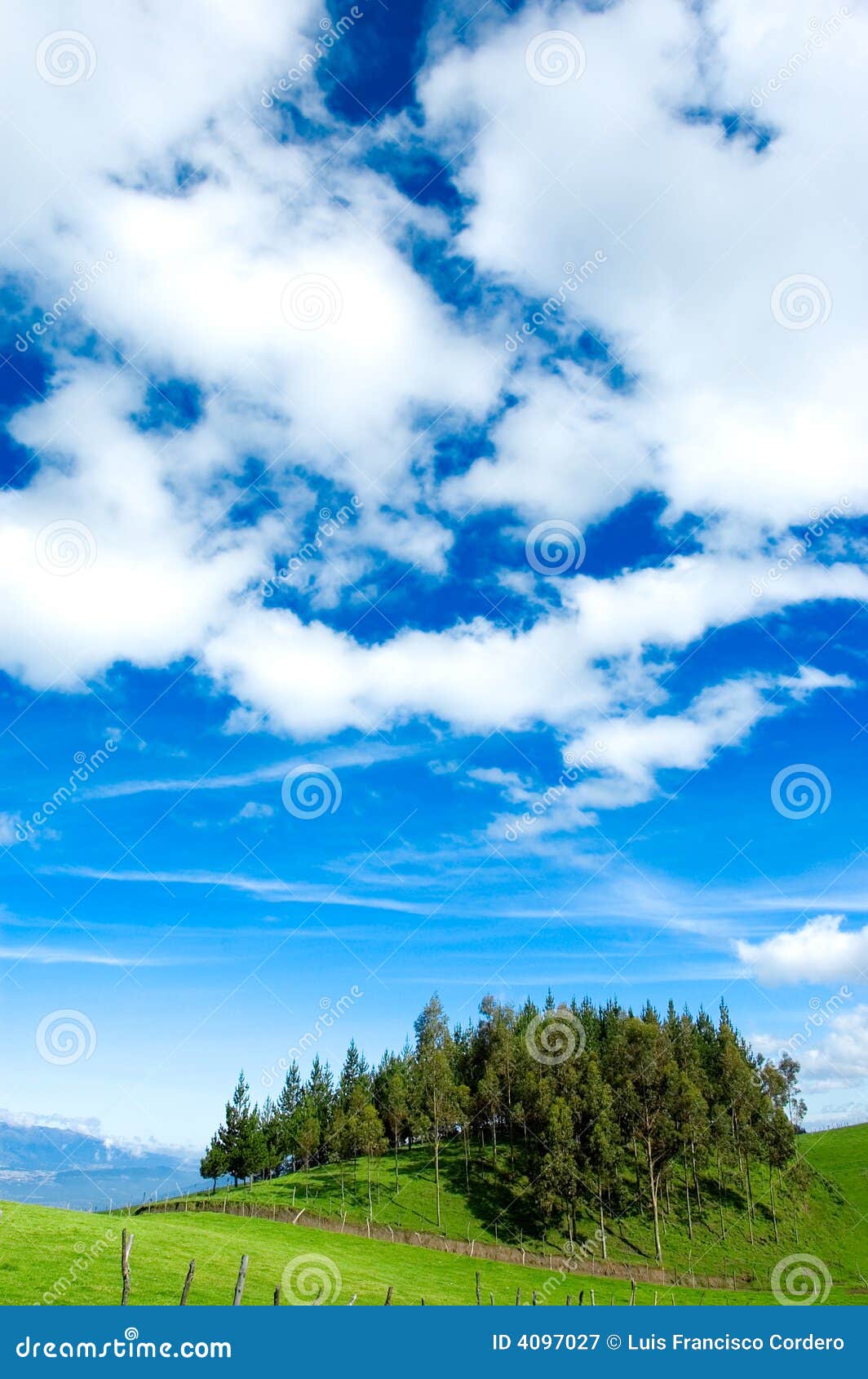 Beautiful Meadow and Small Woods 2 Stock Image - Image of idyll ...