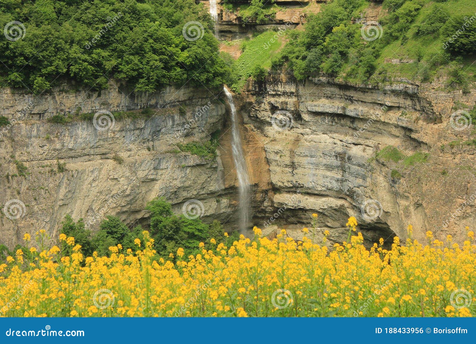 Beautiful Meadow of Yellow Flowers with a Waterfall Stock Photo - Image ...
