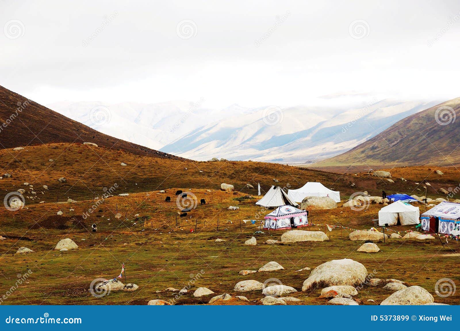 Beautiful Meadows Picture. Image: 5373899