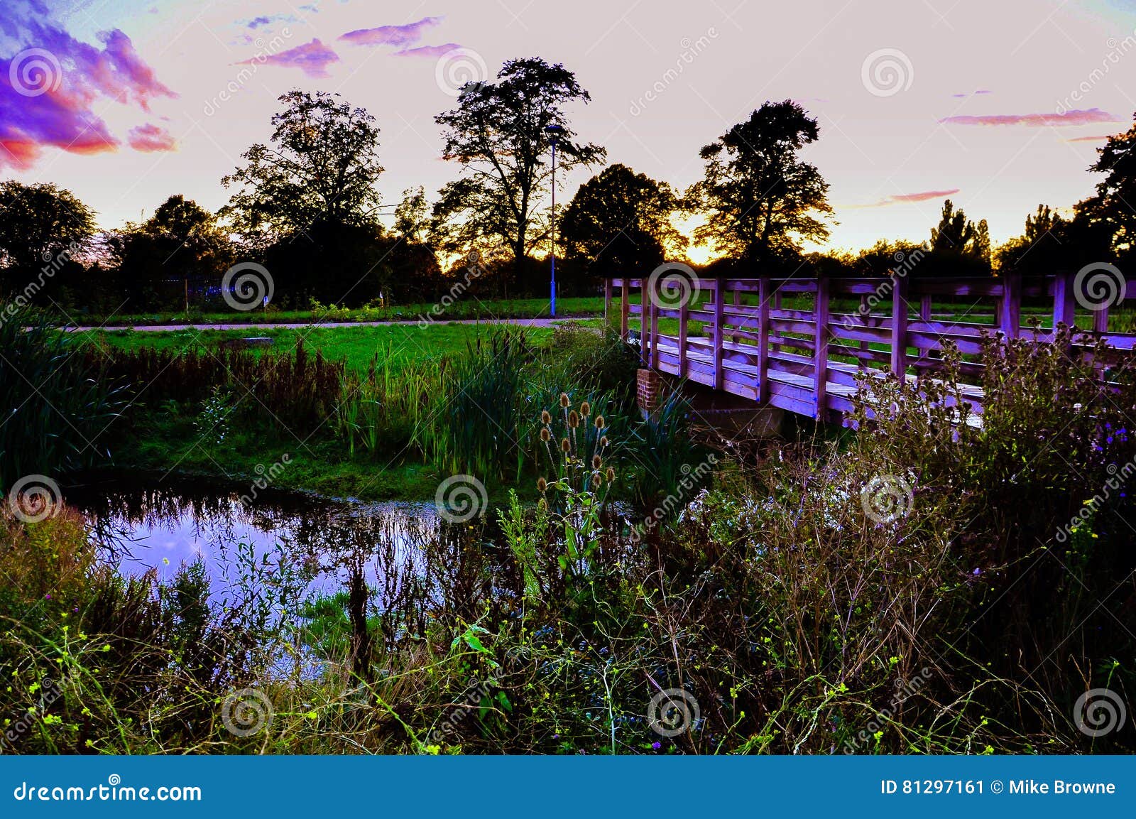 Beautiful Meadows at Sunset Stock Image - Image of harmony, meadows ...