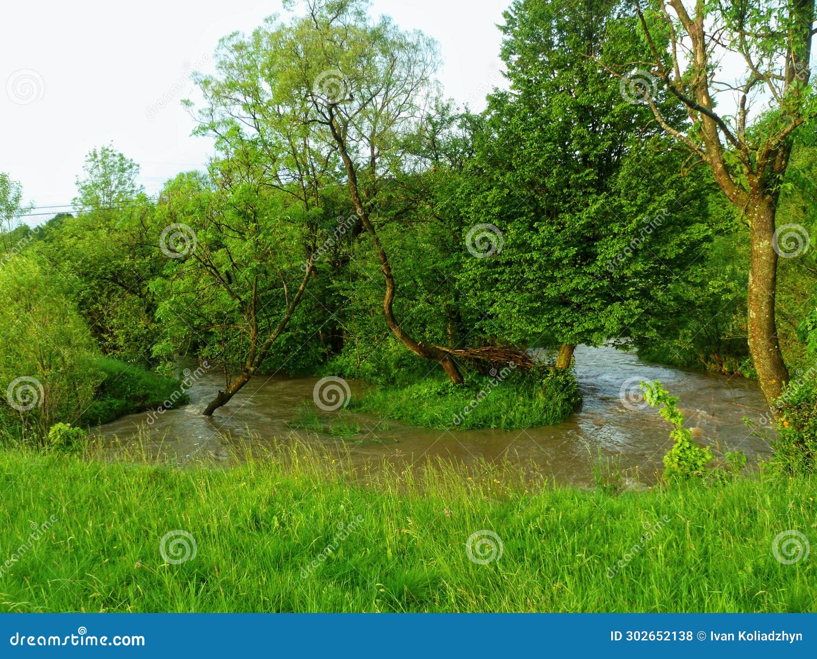 Beautiful Meander (river Bend) Stock Photo - Image of river, view ...