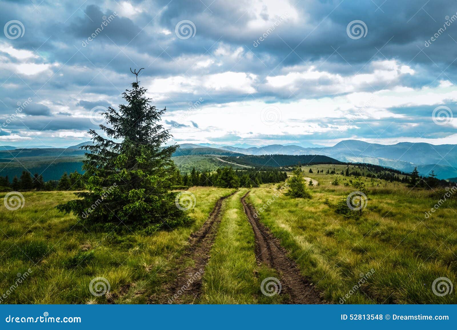 Beautiful menacing sky stock photo. Image of forest, track - 52813548