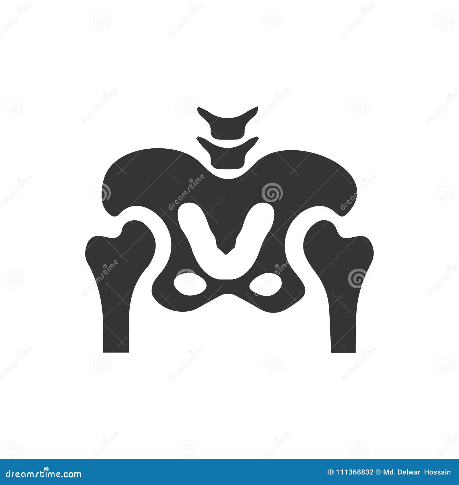 Pelvis Icon. Hip Joint The Structure Of The Human Skeleton. Pelvic ...