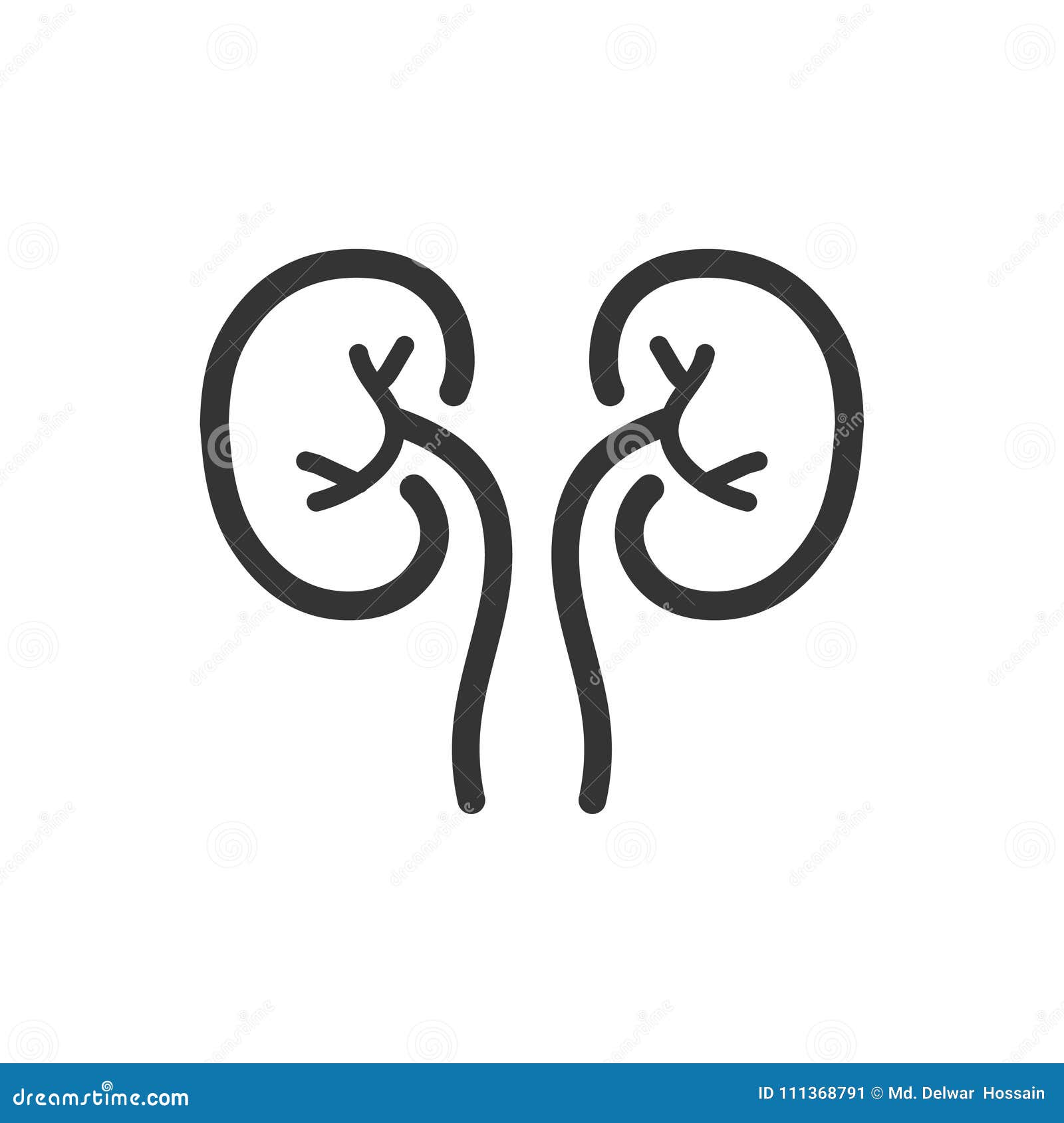 Urology Icon From Medical Collection. Simple Line Element Urology ...