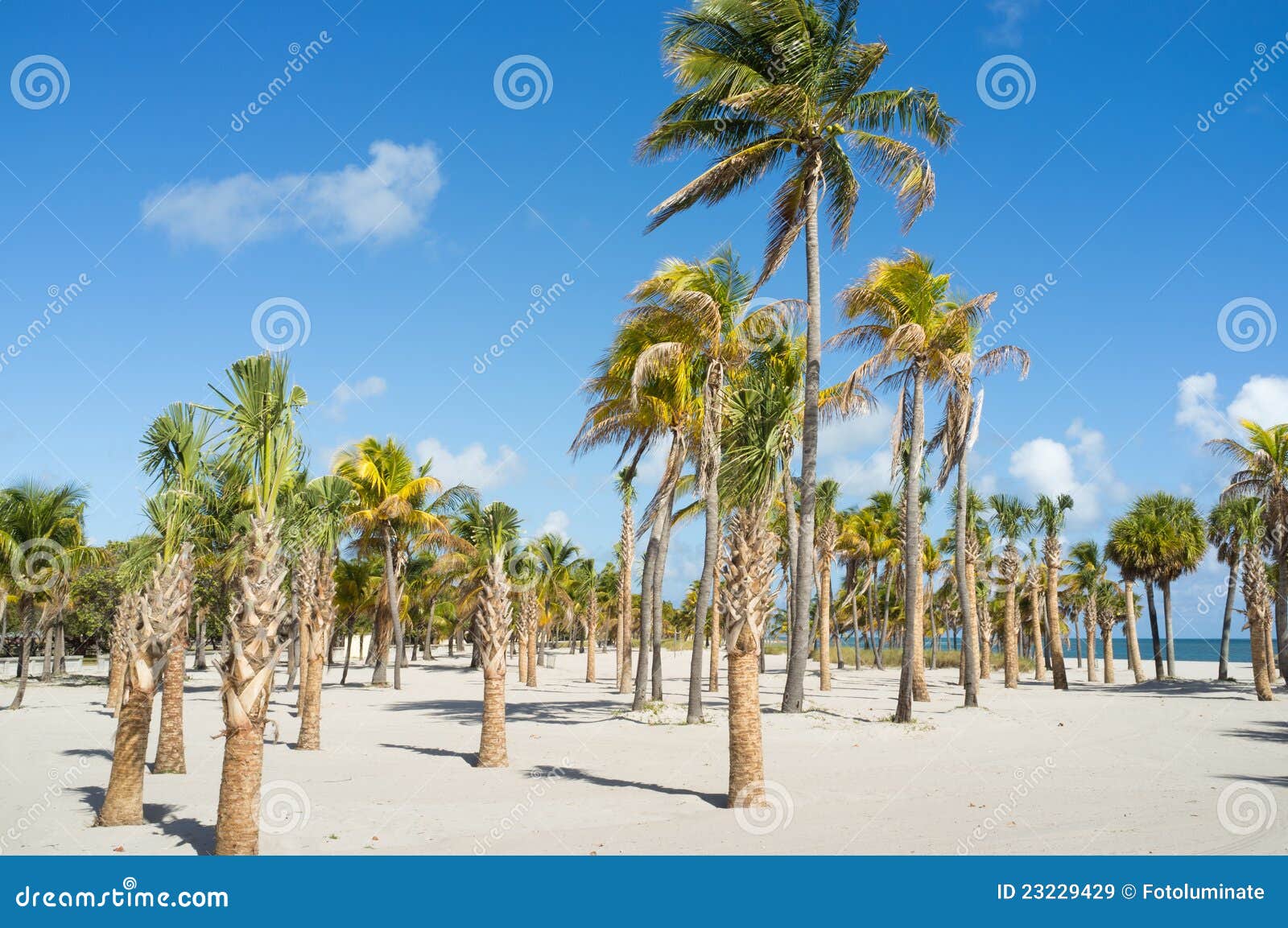 Beautiful Miami Beach stock image. Image of seascape - 23229429
